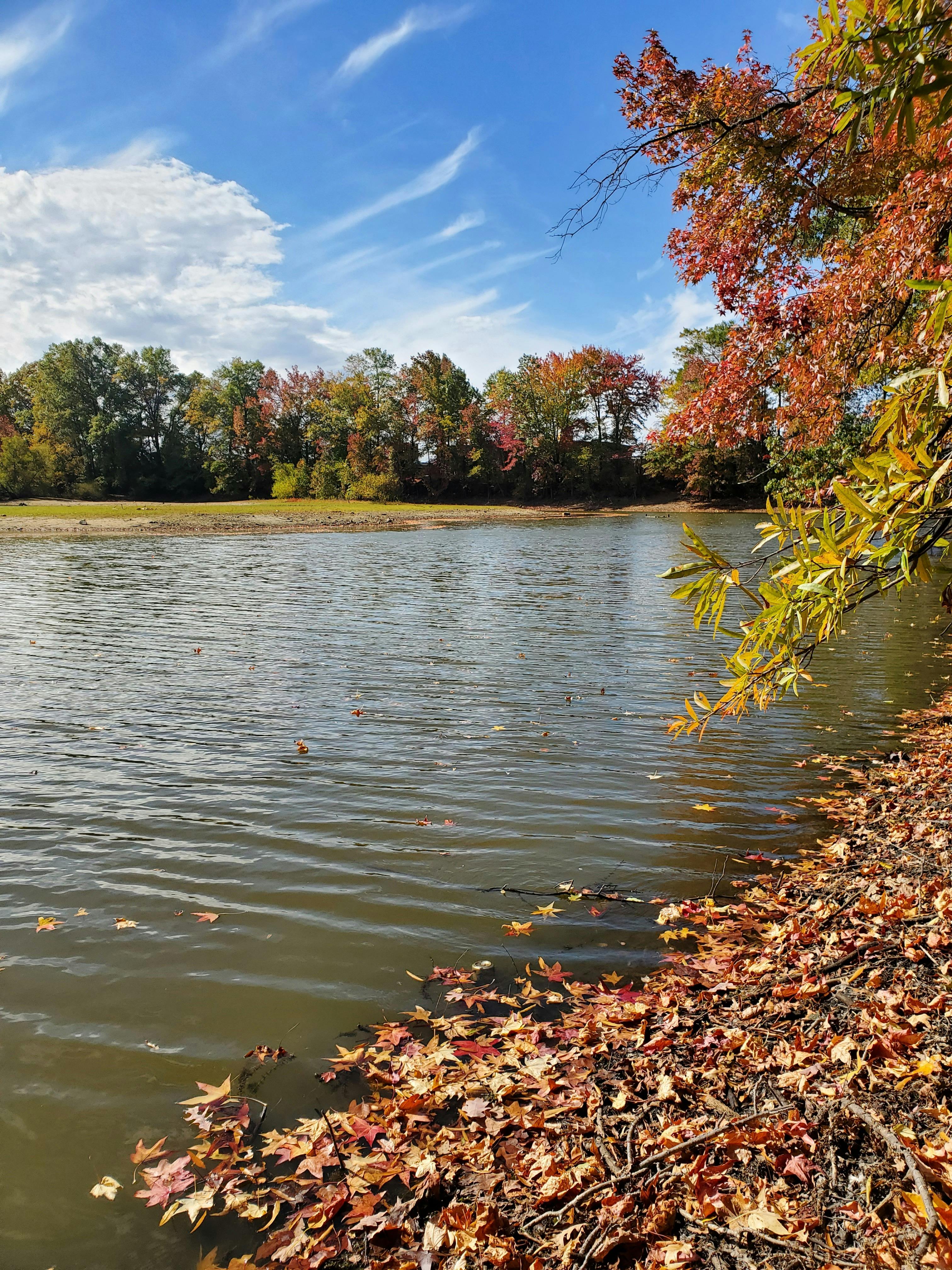 Pond' Photos, Download The BEST Free Pond' Stock Photos & HD Images