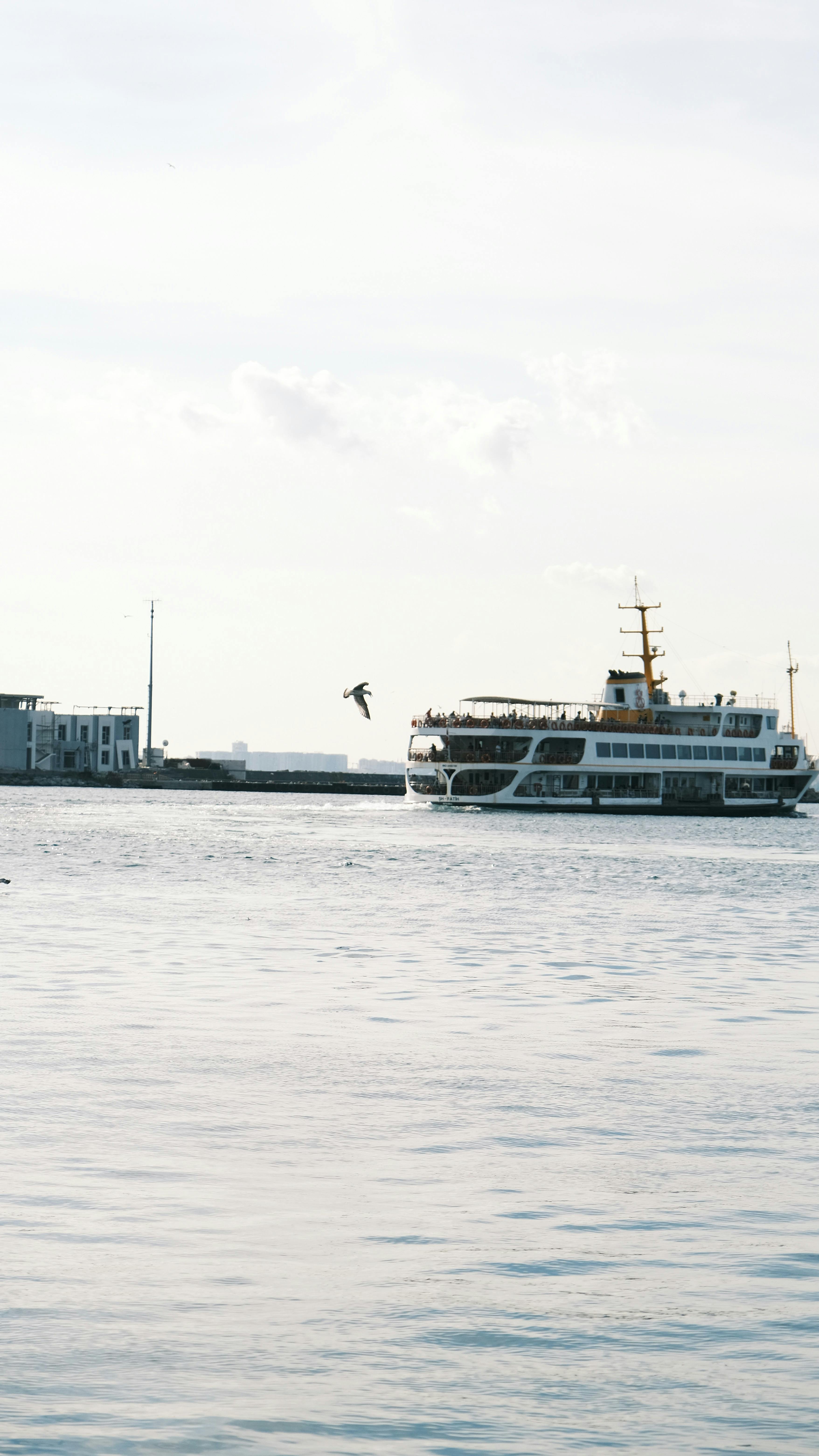 Scenic Ferry Ride on Calm Waters · Free Stock Photo