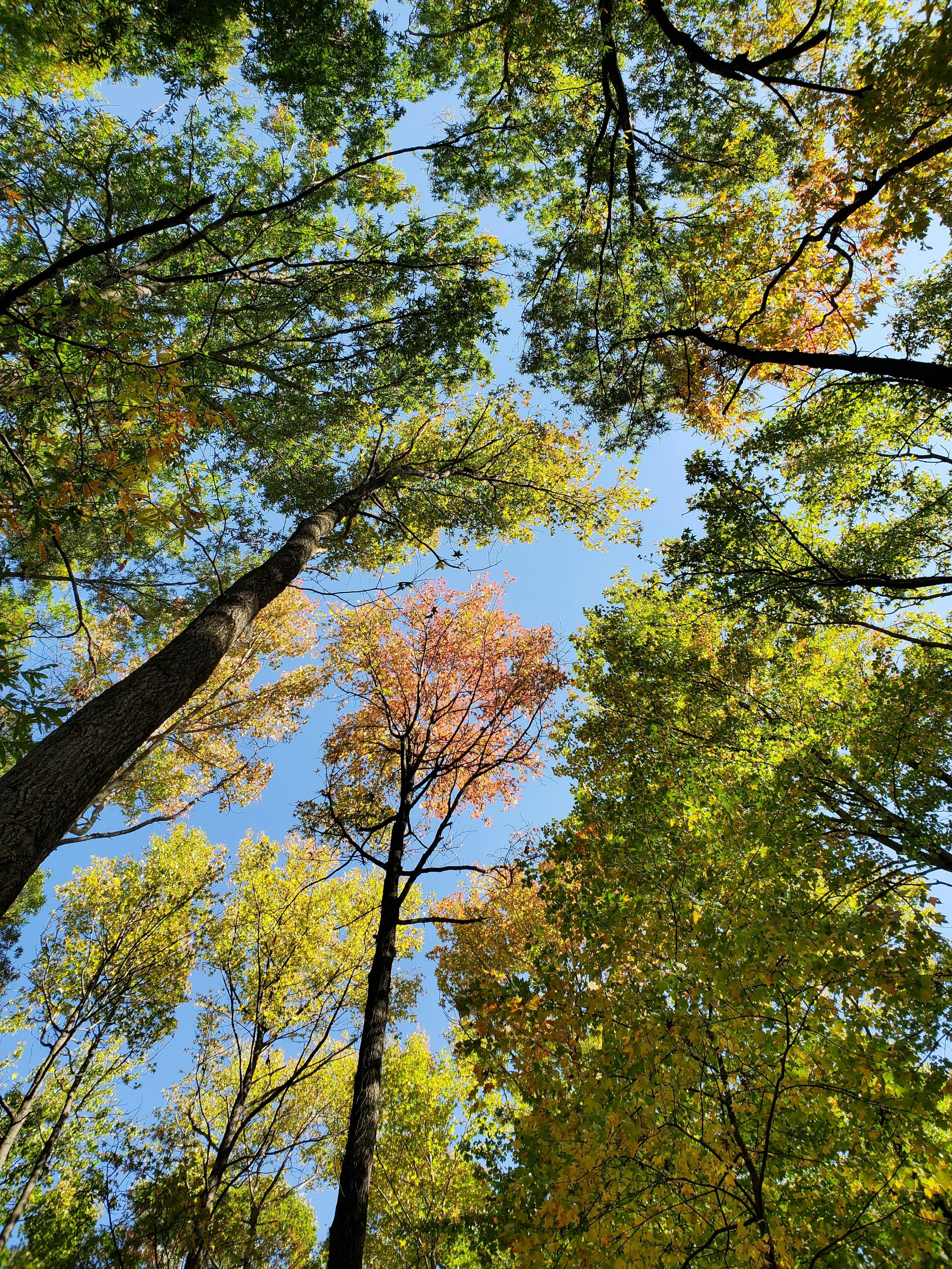 Bird's Eye View Of Lake · Free Stock Photo