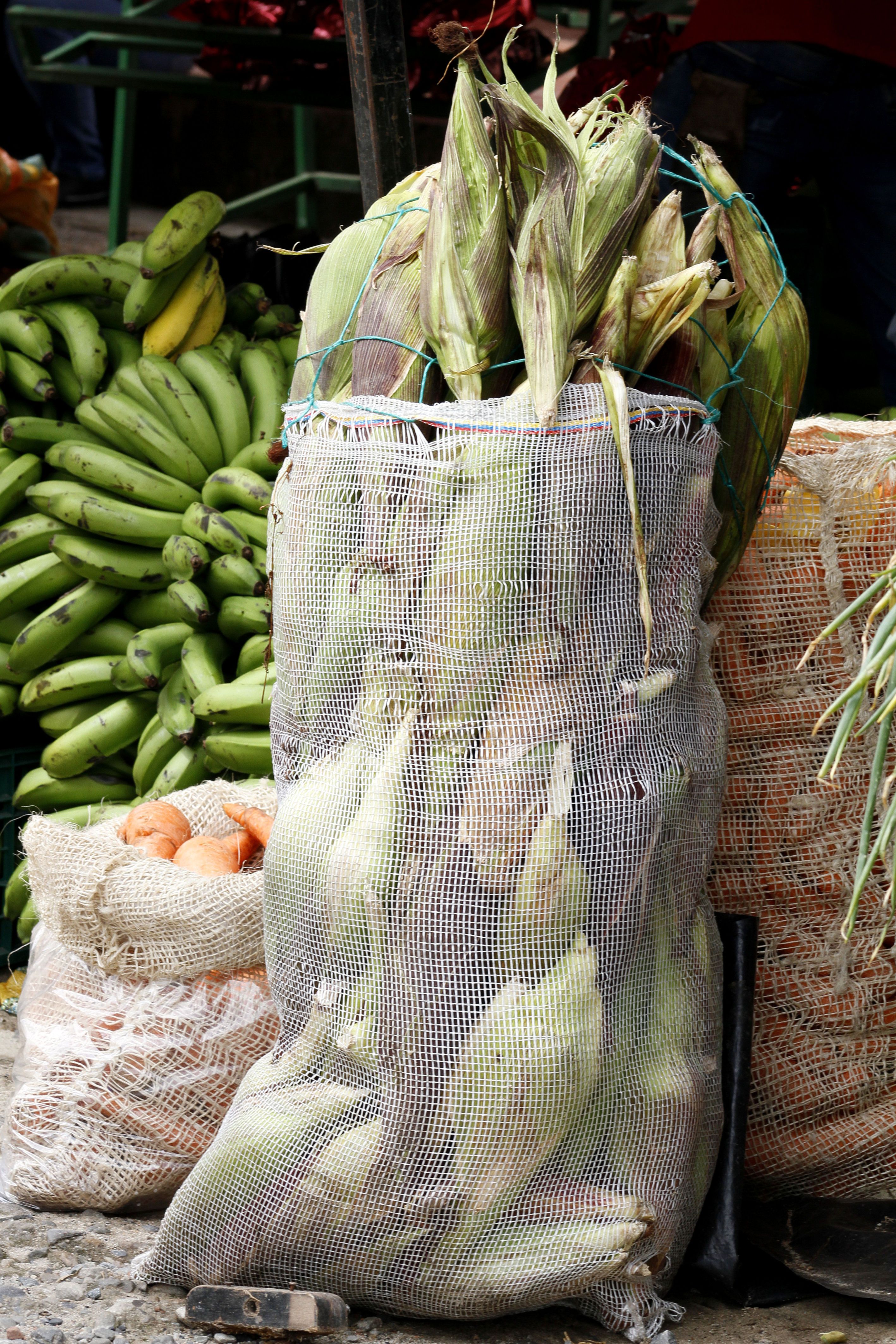 Fresh Corn and Plantains at Farmers Market · Free Stock Photo