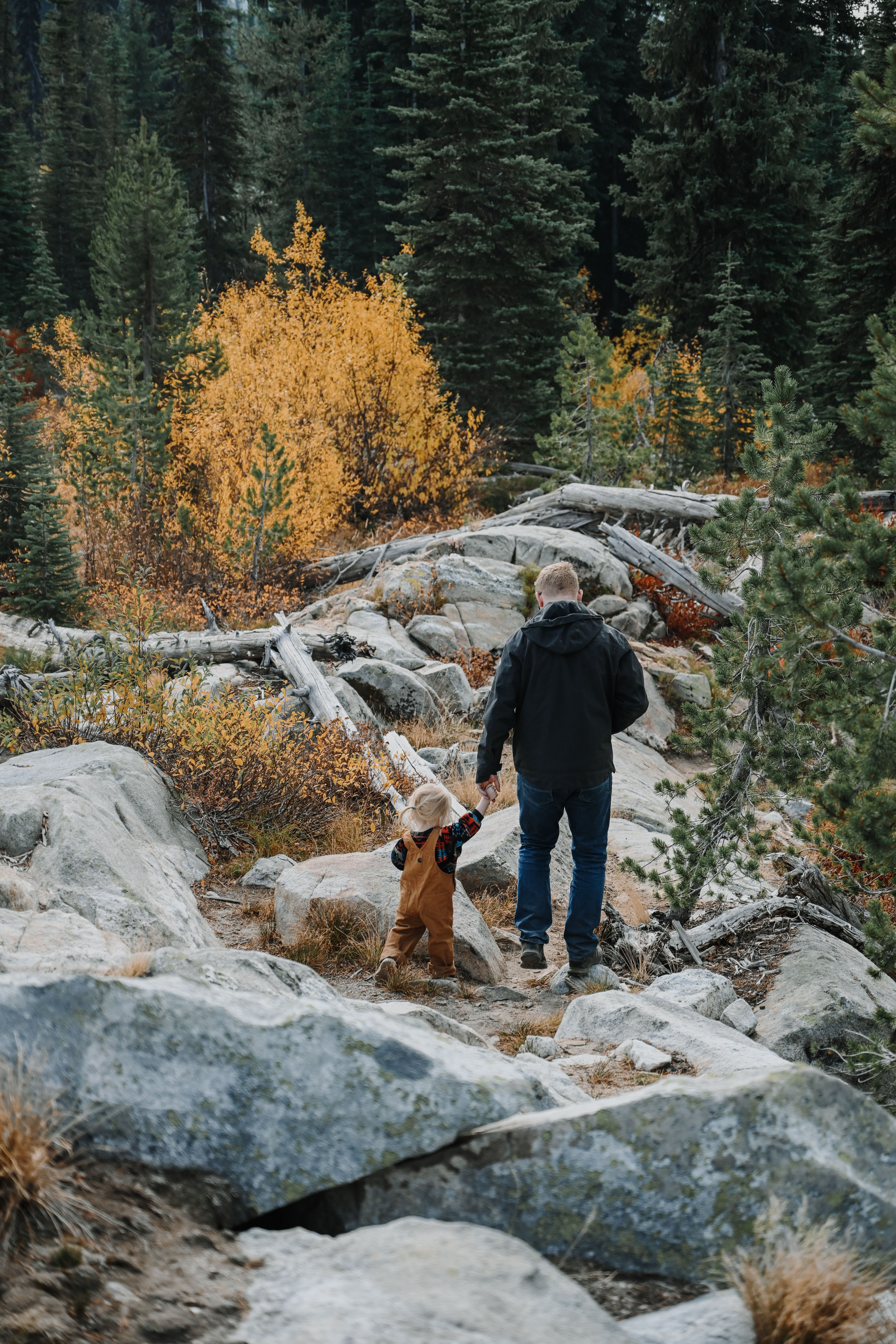 Father and Child Hiking Through Autumn Forest · Free Stock Photo
