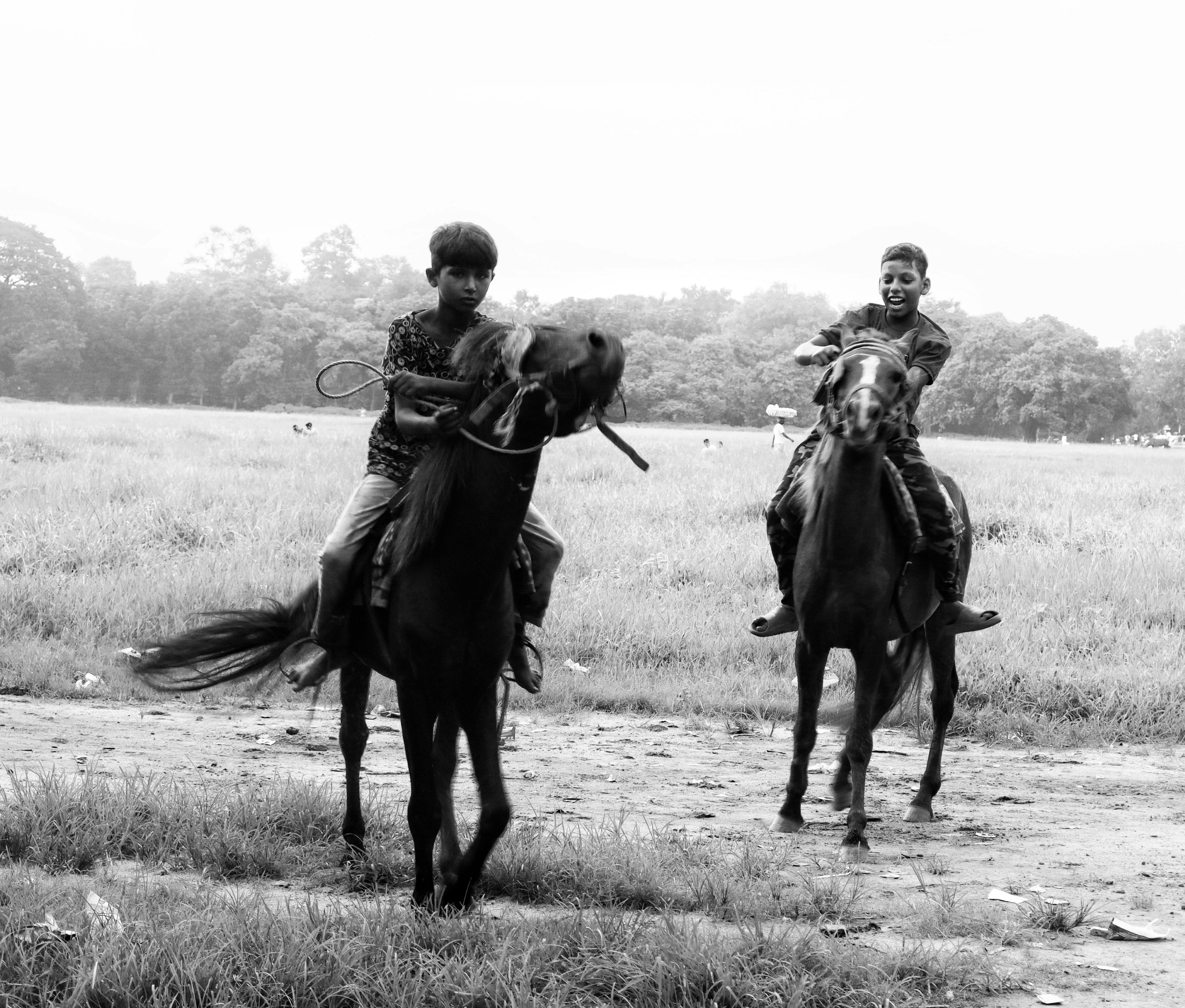 Boys Riding Horses in a Field, Black and White · Free Stock Photo