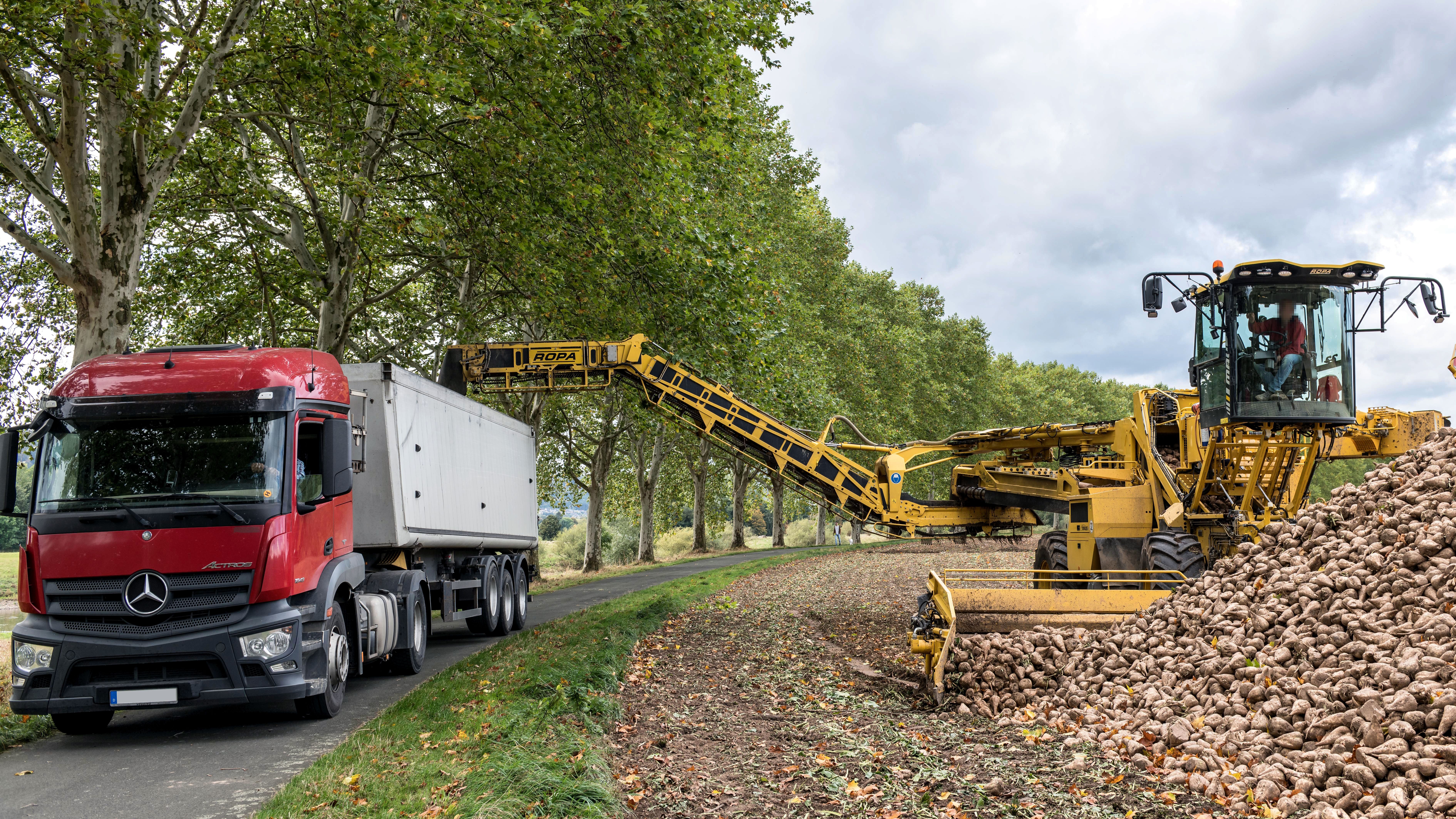 10 000+ Chargement De Camion banque d’images et photos libres de droit ...