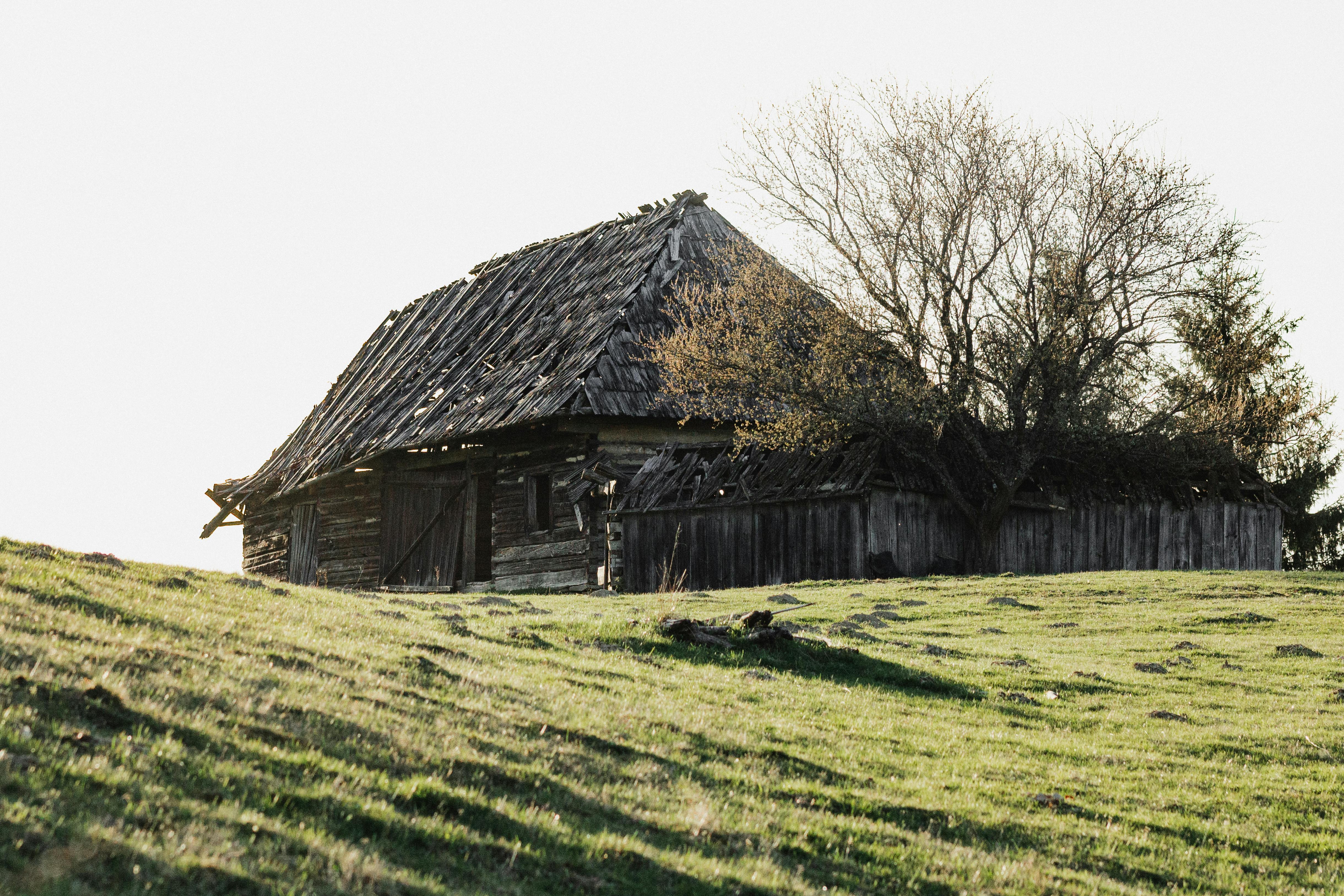 Rustic Wooden Barn in Lush Romanian Countryside · Free Stock Photo