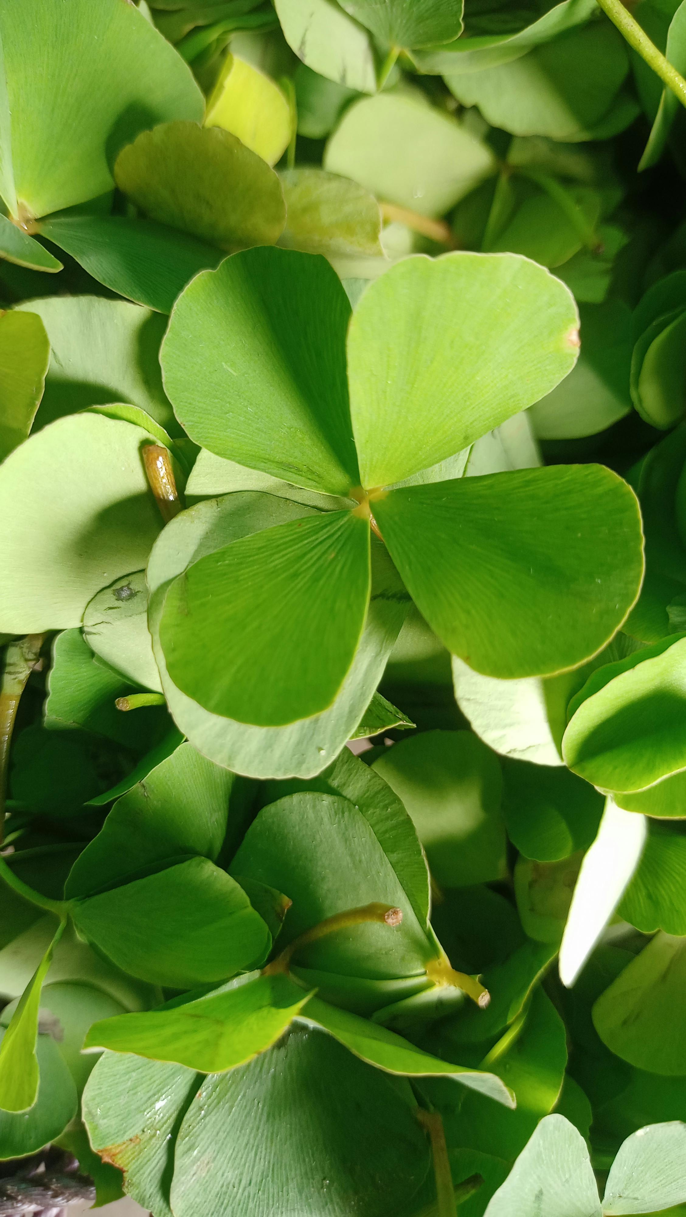 Meme Like Photos, Download The BEST Free Meme Like Stock Photos & HD Images