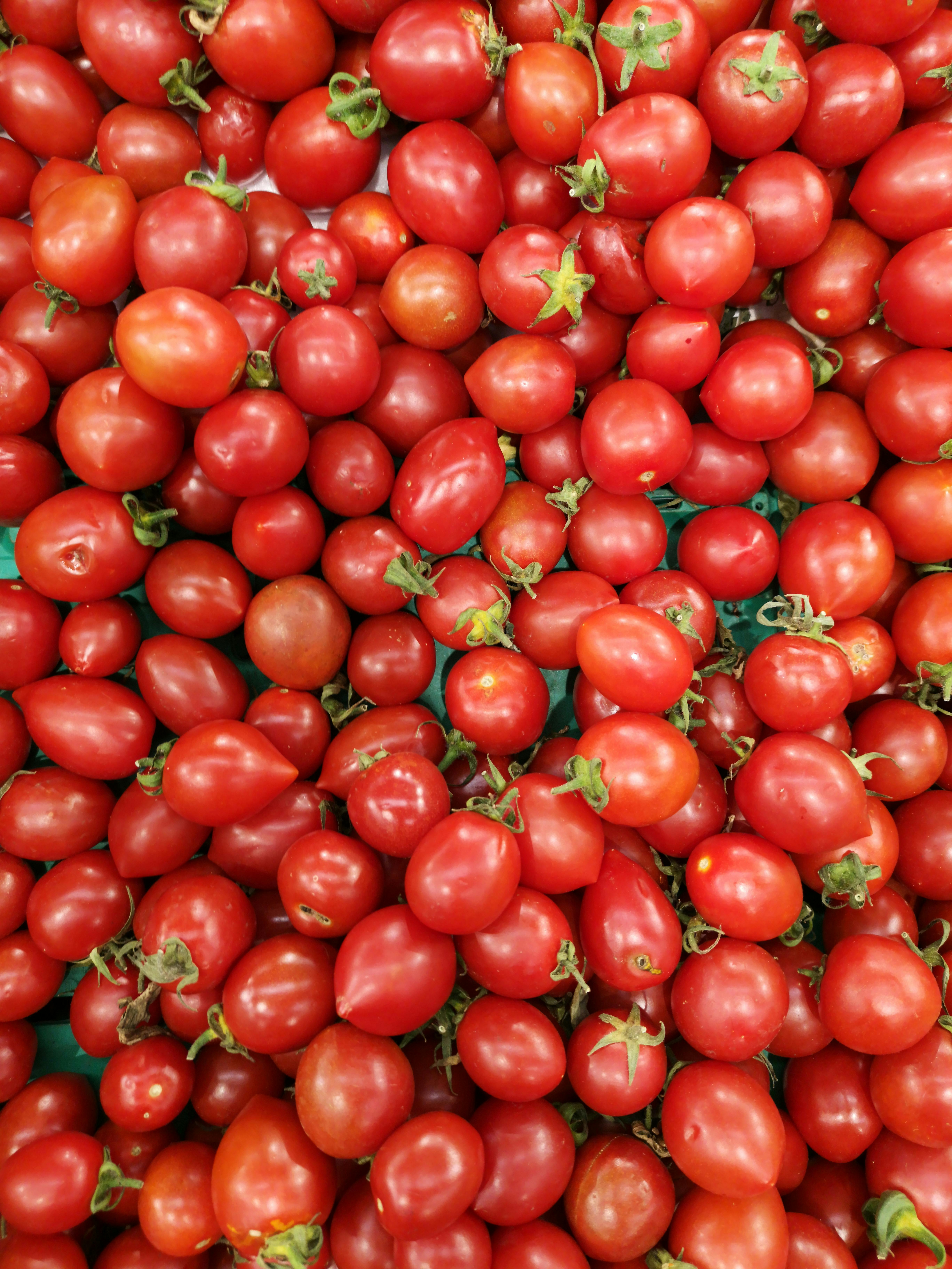 Red Tomato Lot · Free Stock Photo