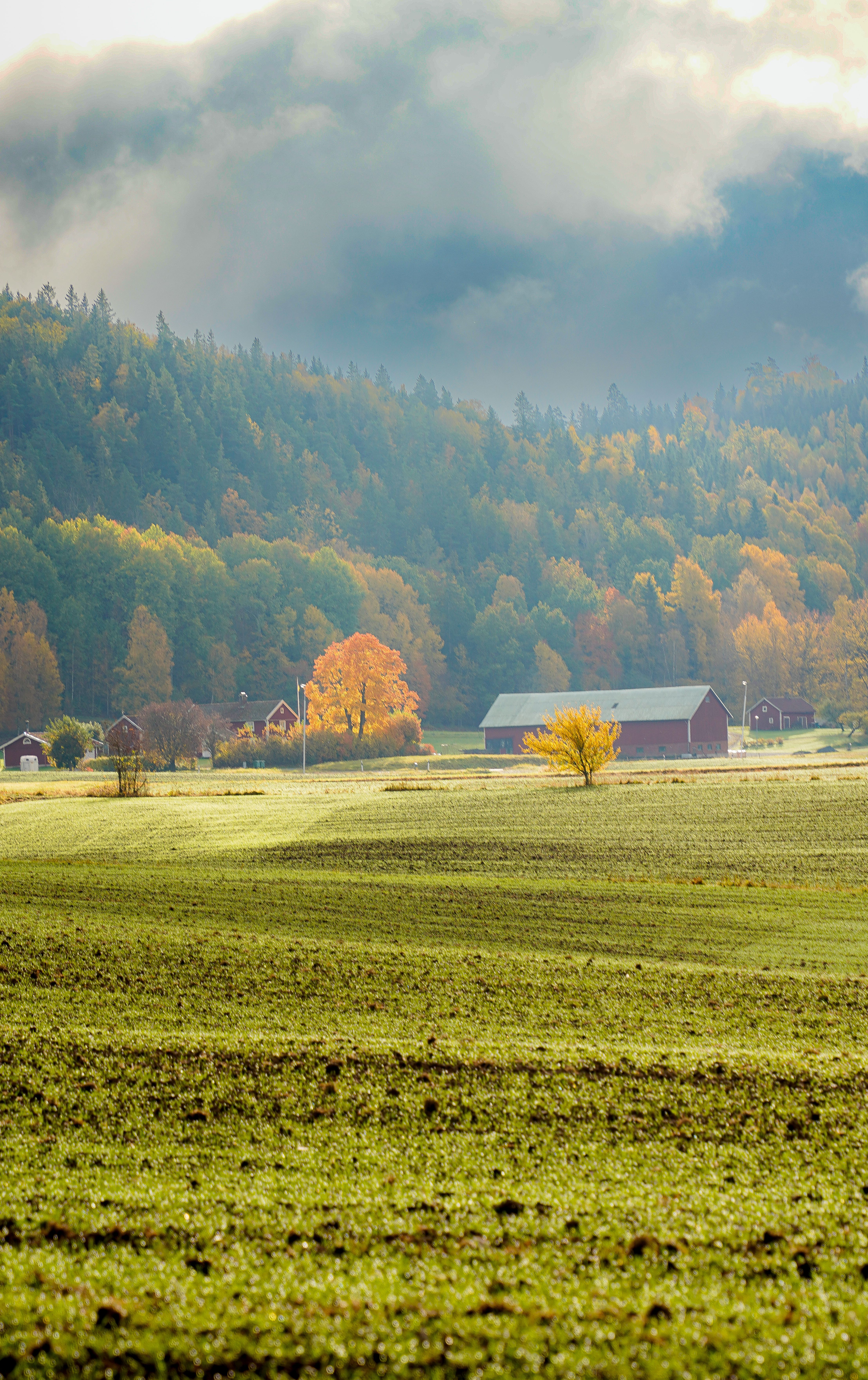 Scenic Autumn View in Jonkoping County Sweden · Free Stock Photo