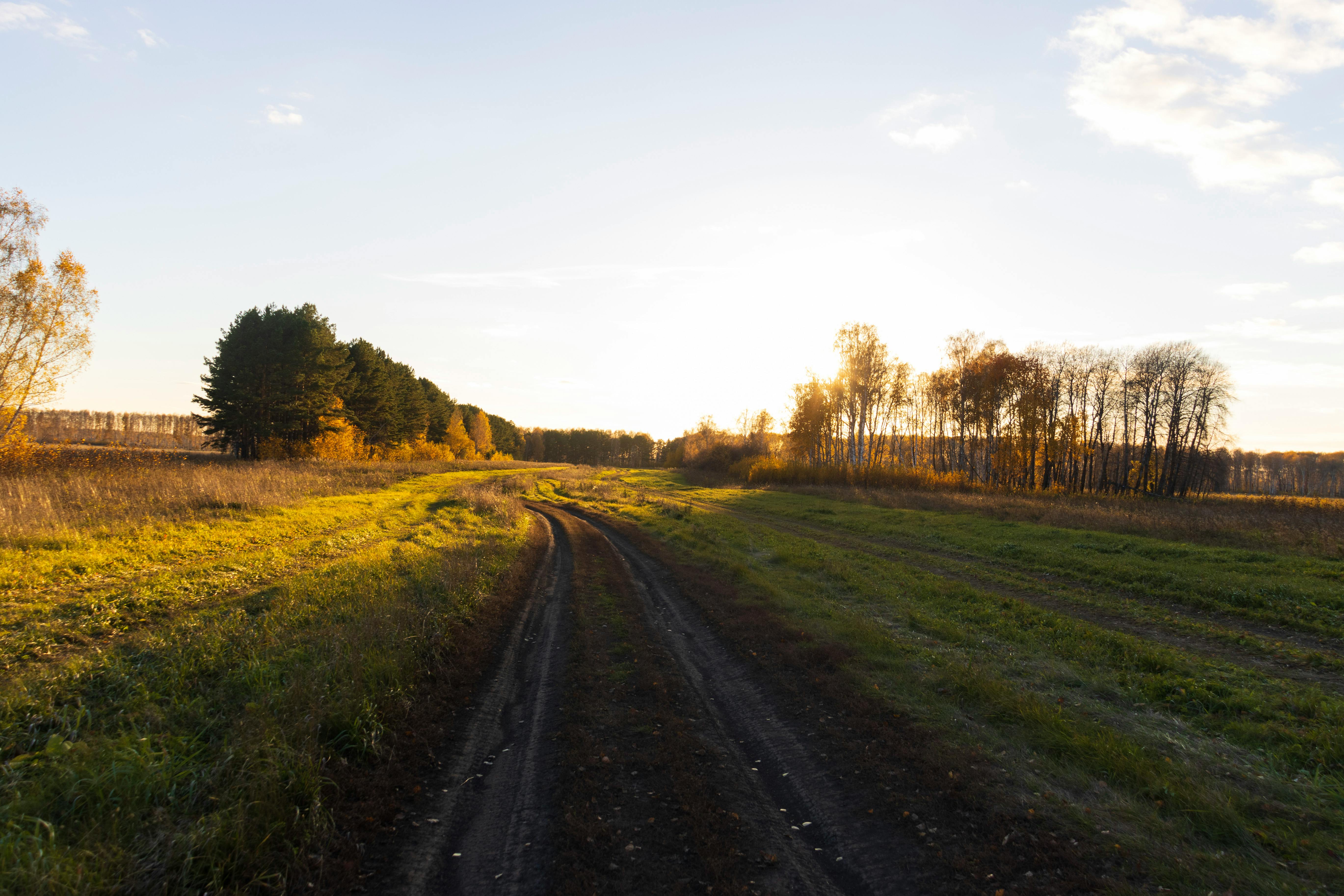 Road With Grass Photos, Download The BEST Free Road With Grass Stock ...