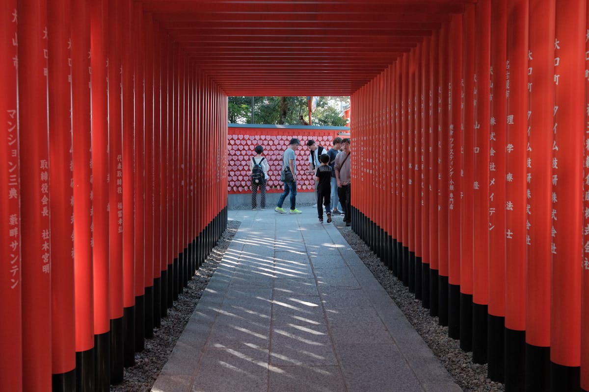 White Japanese Torii Gate Photos, Download The BEST Free White Japanese ...