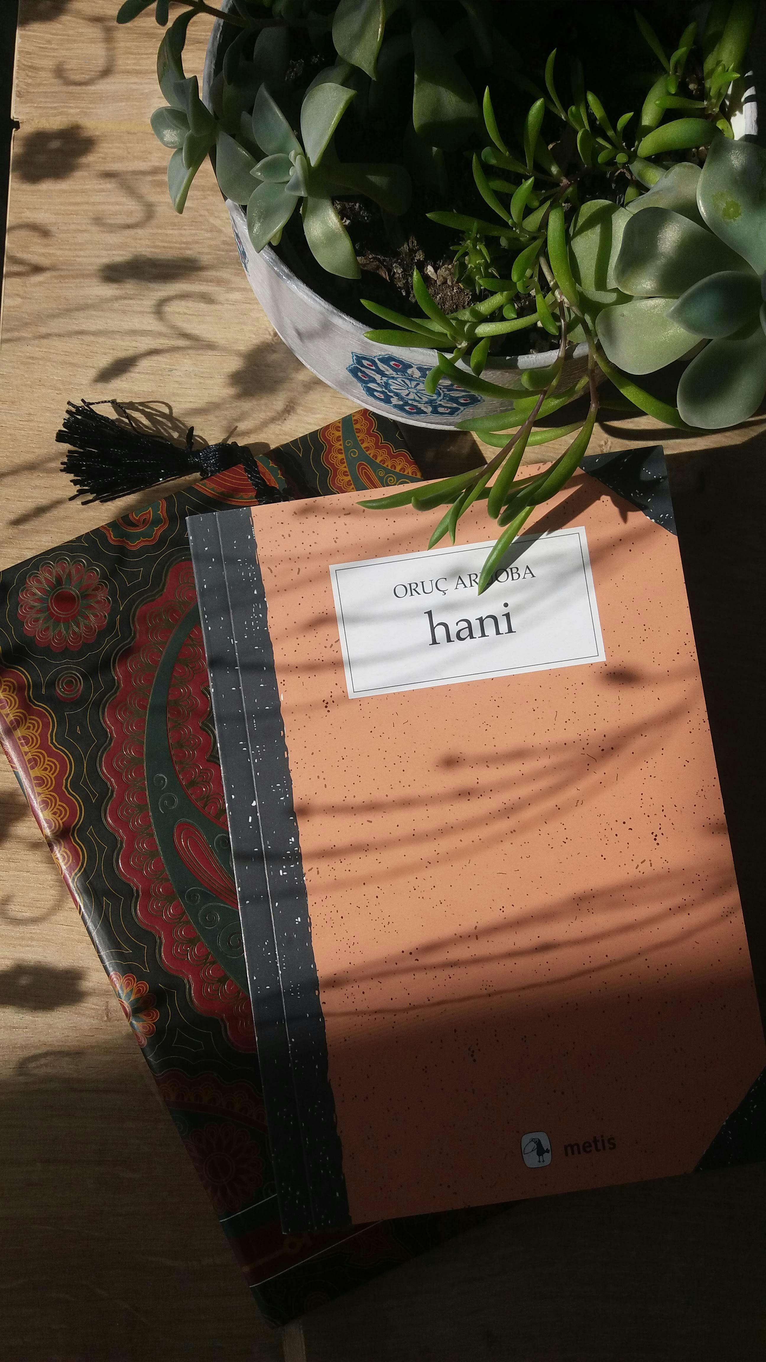 Chapter Study Photos, Download The BEST Free Chapter Study Stock Photos ...