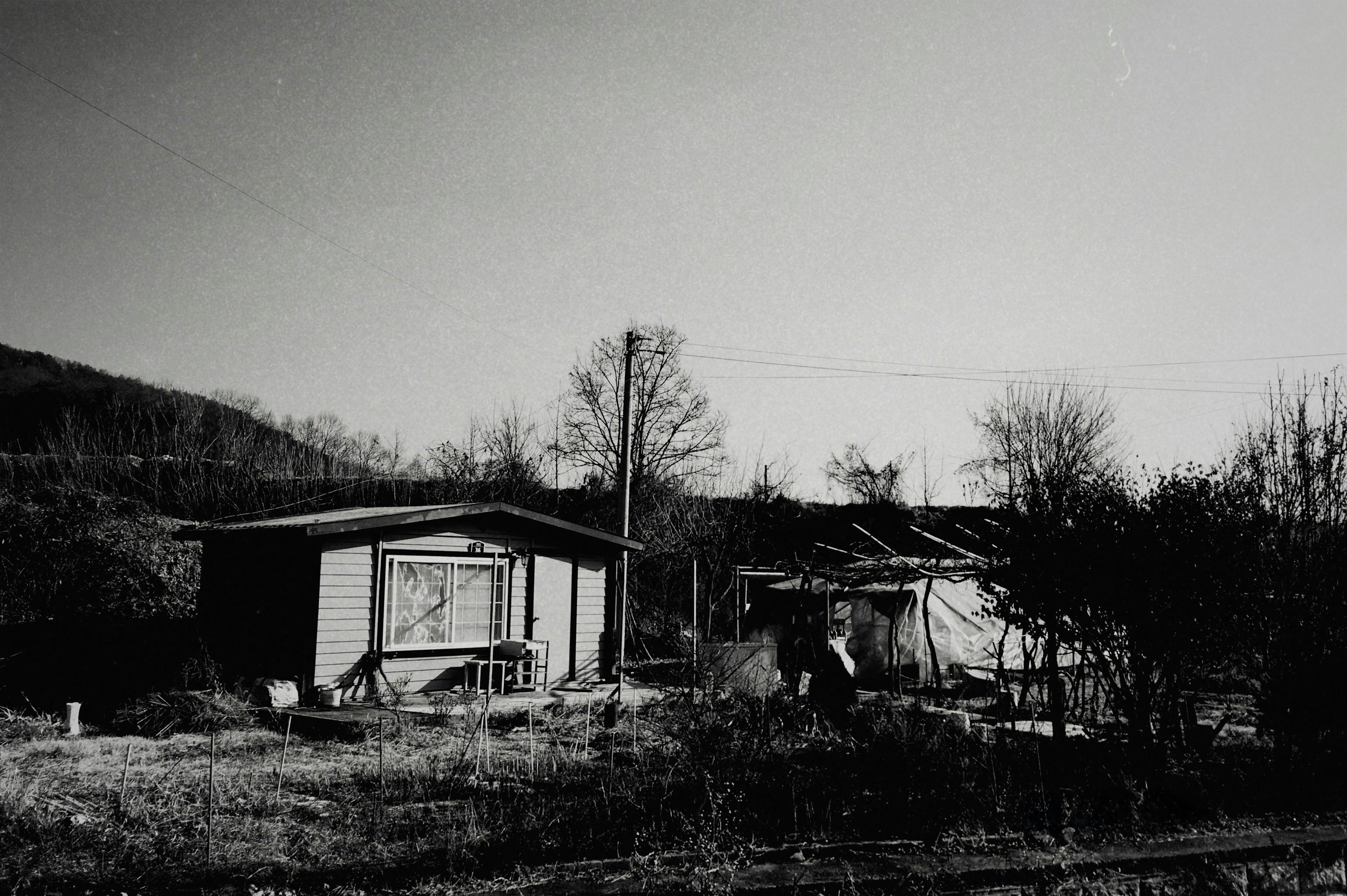 Animert Barn Photos, Download The BEST Free Animert Barn Stock Photos ...