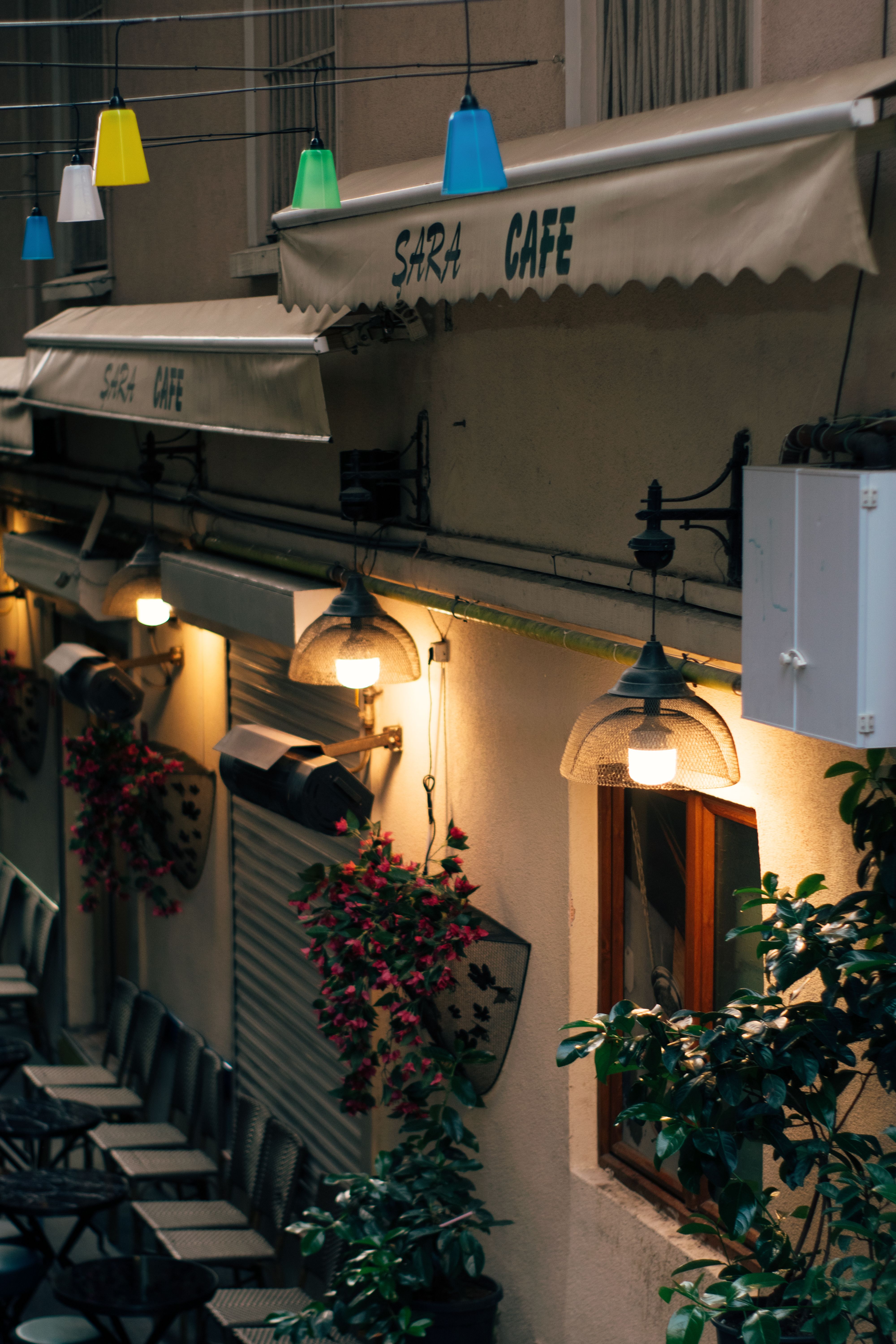 Charming Café Exterior with Colorful Lighting · Free Stock Photo