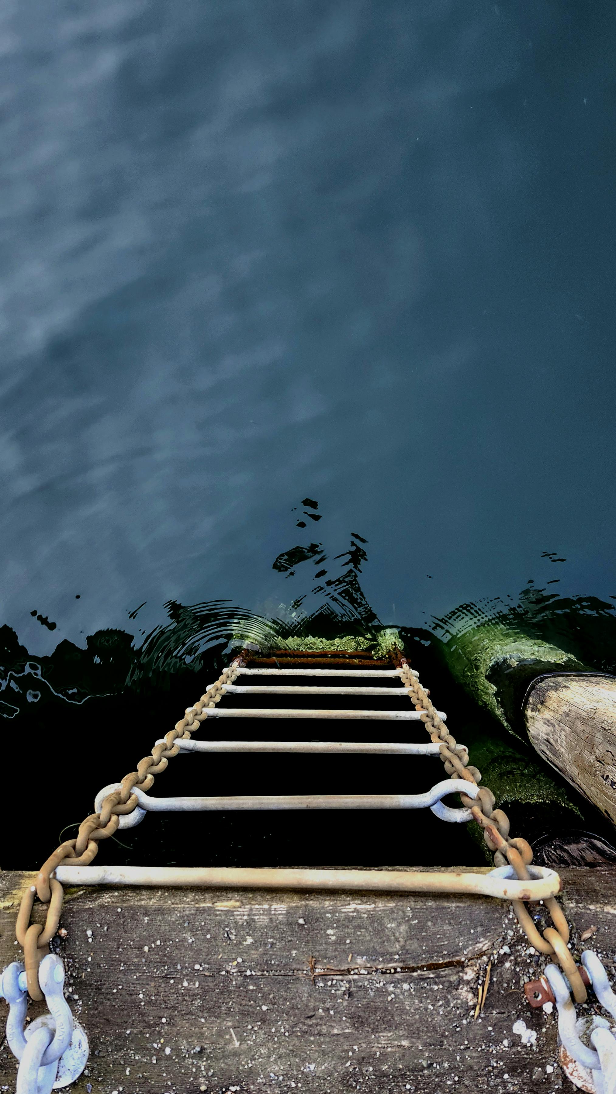 Rustic Pier Chain Ladder Leading into Ocean Water · Free Stock Photo