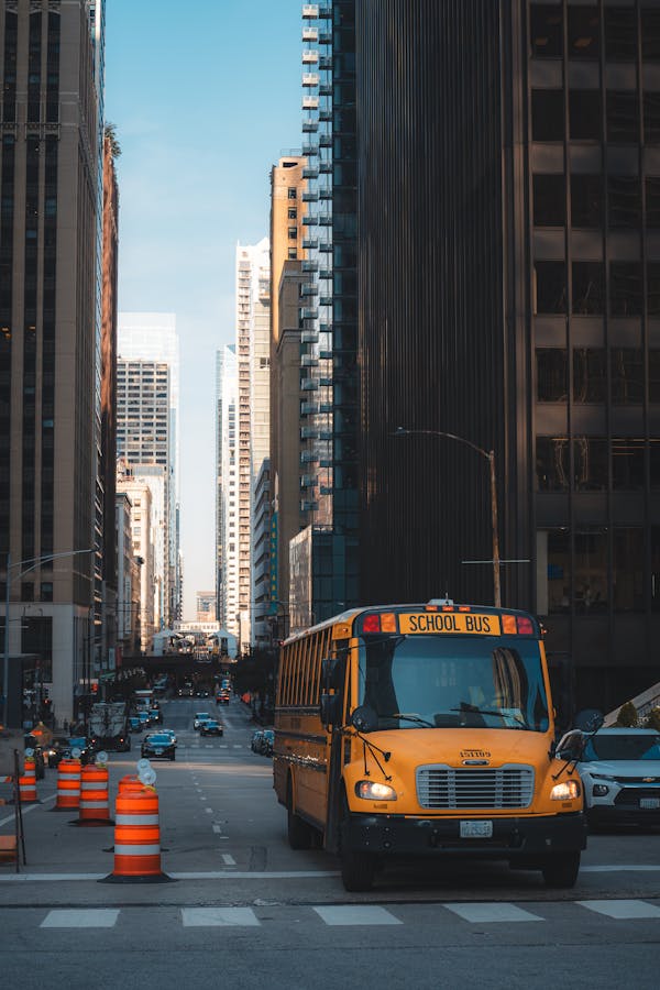 School Bus Photos, Download The BEST Free School Bus Stock Photos & HD ...