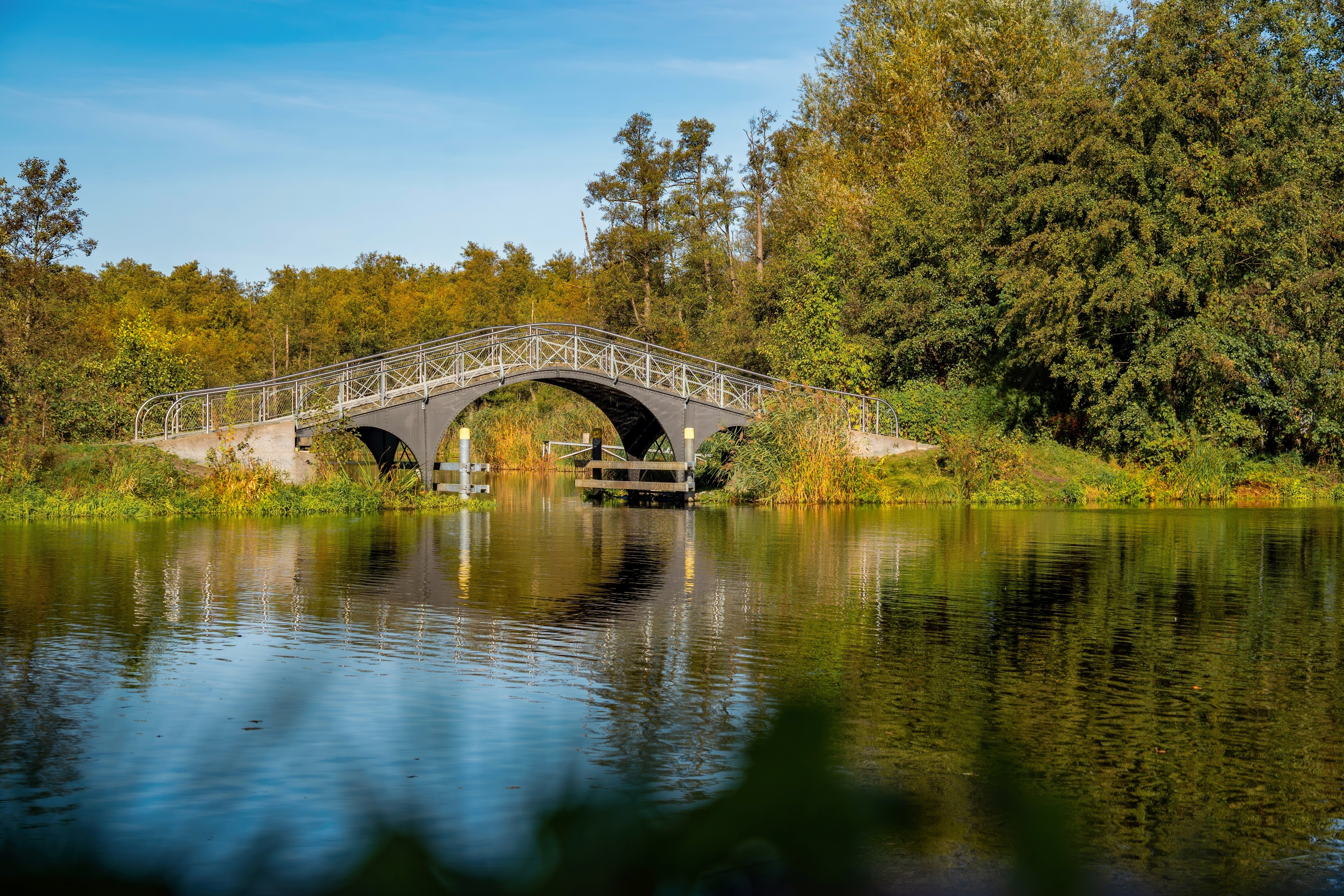 Bridge over a Lake during Day Time · Free Stock Photo