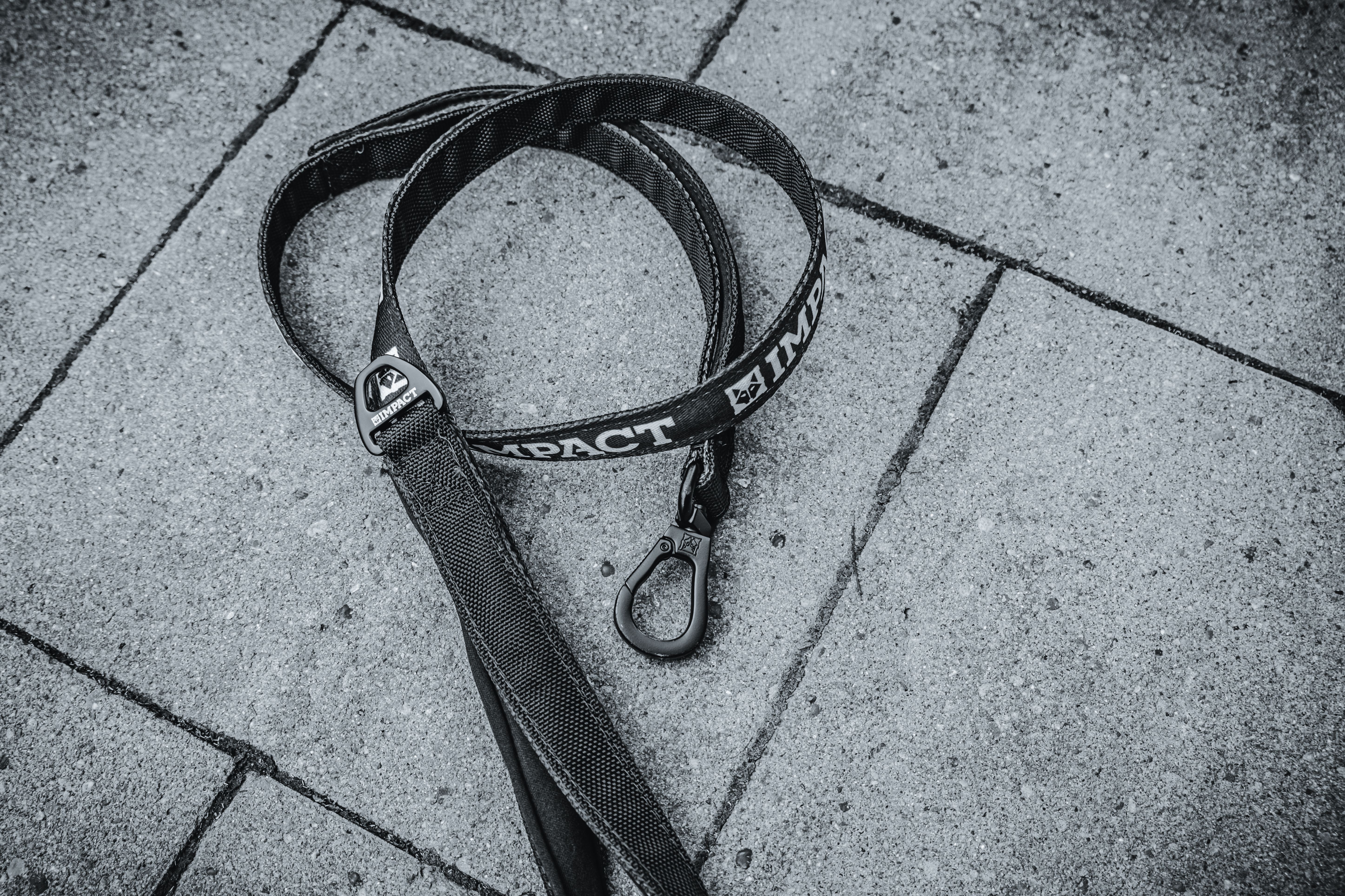 Durable Dog Leash on Paved Surface · Free Stock Photo