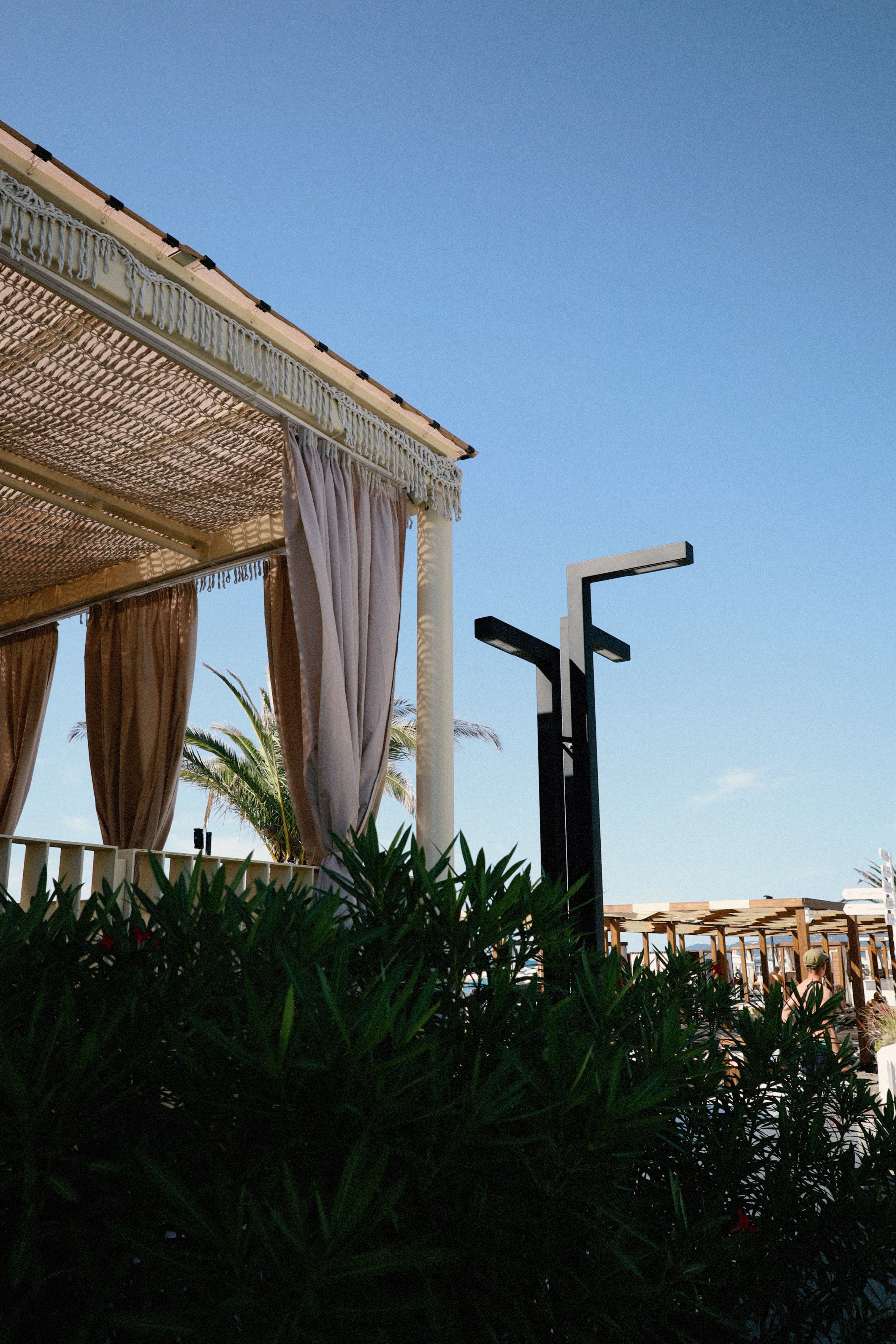 Tropical Beach Pergola with Curtains and Palm Trees · Free Stock Photo