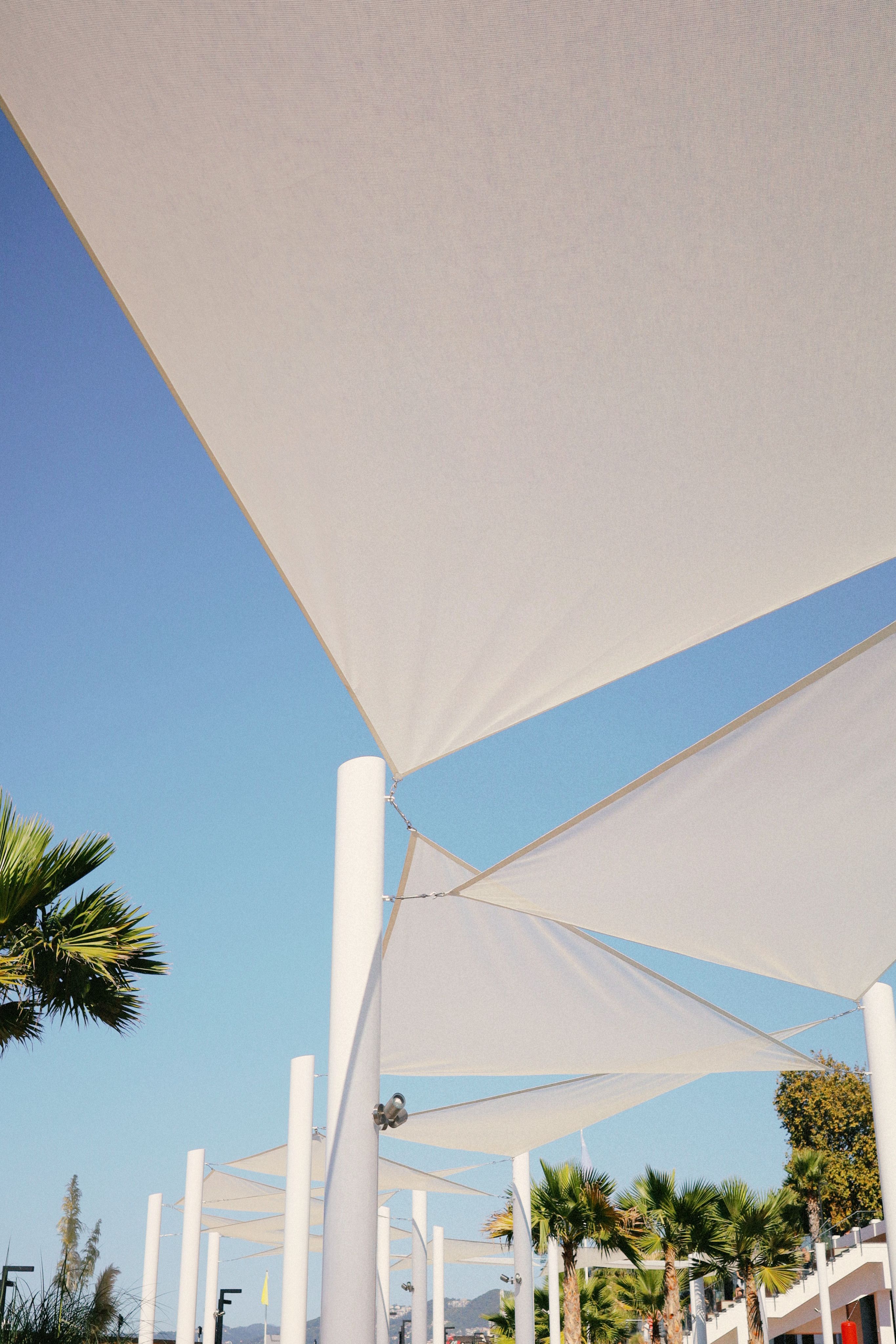 Modern Outdoor Sunshades and Palm Trees · Free Stock Photo