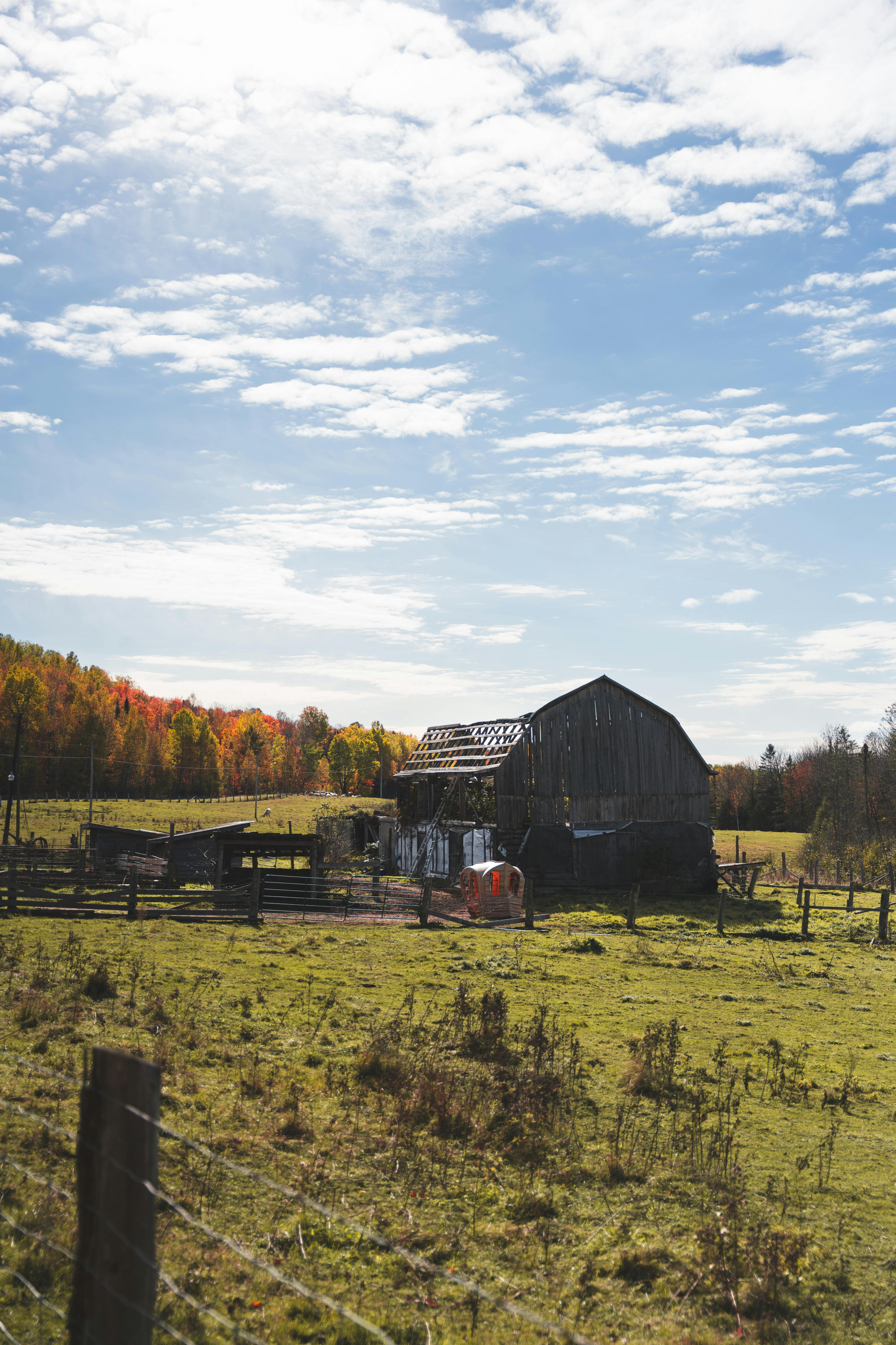Rustic Barn in Idyllic Autumn Countryside · Free Stock Photo