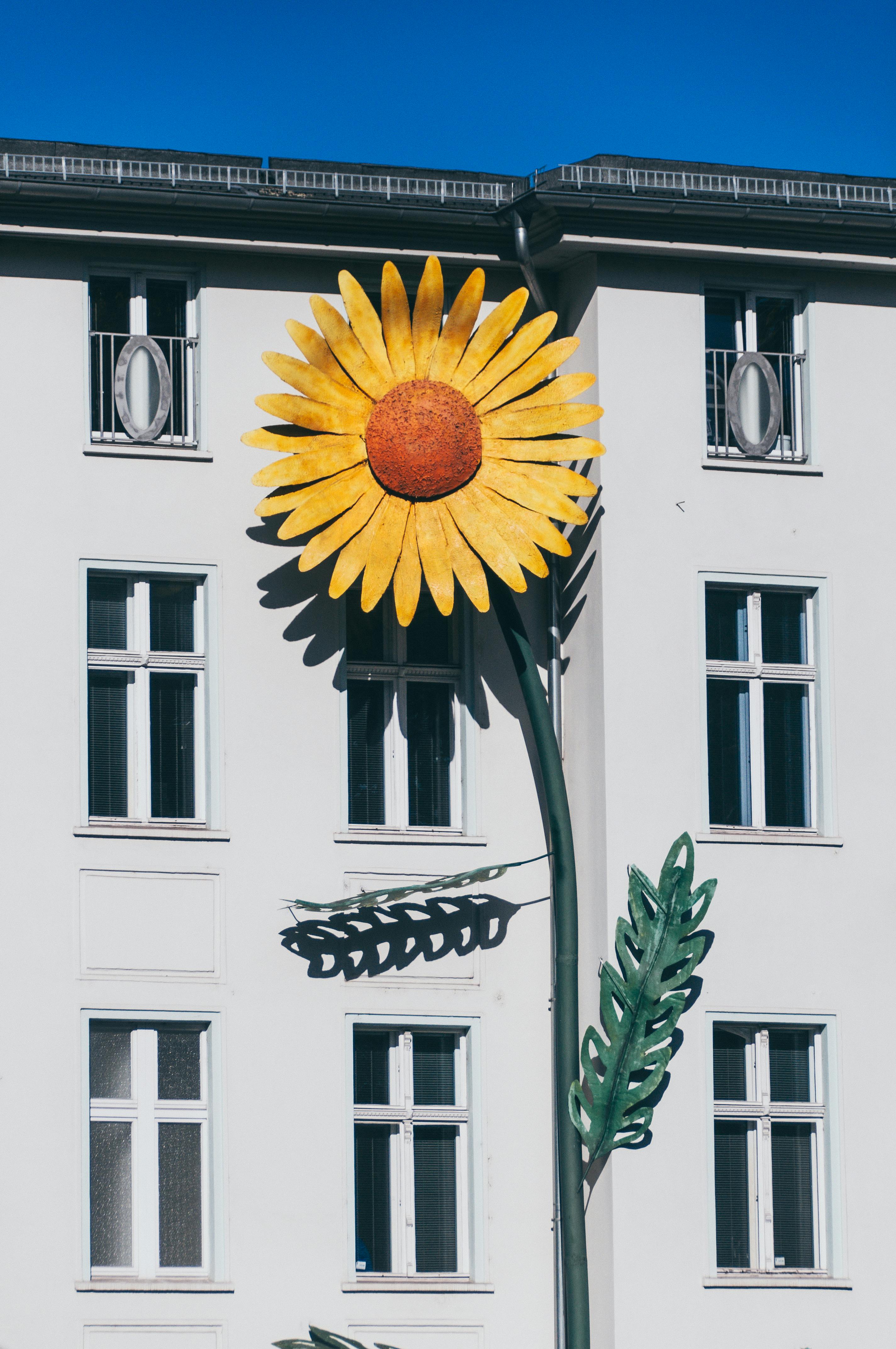 Giant Sunflower Art on City Building Facade · Free Stock Photo