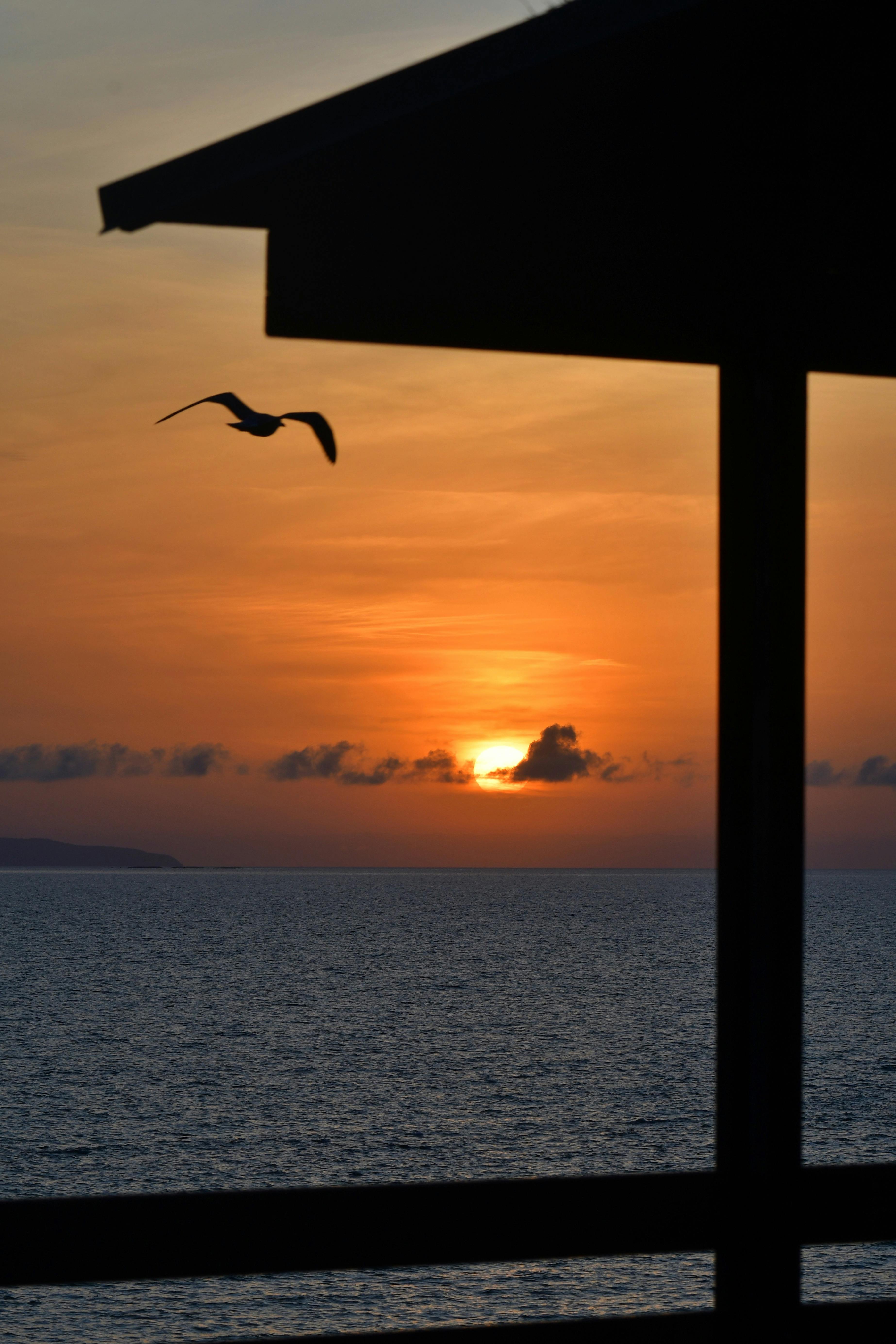 Sunset Peace Photos, Download The BEST Free Sunset Peace Stock Photos ...