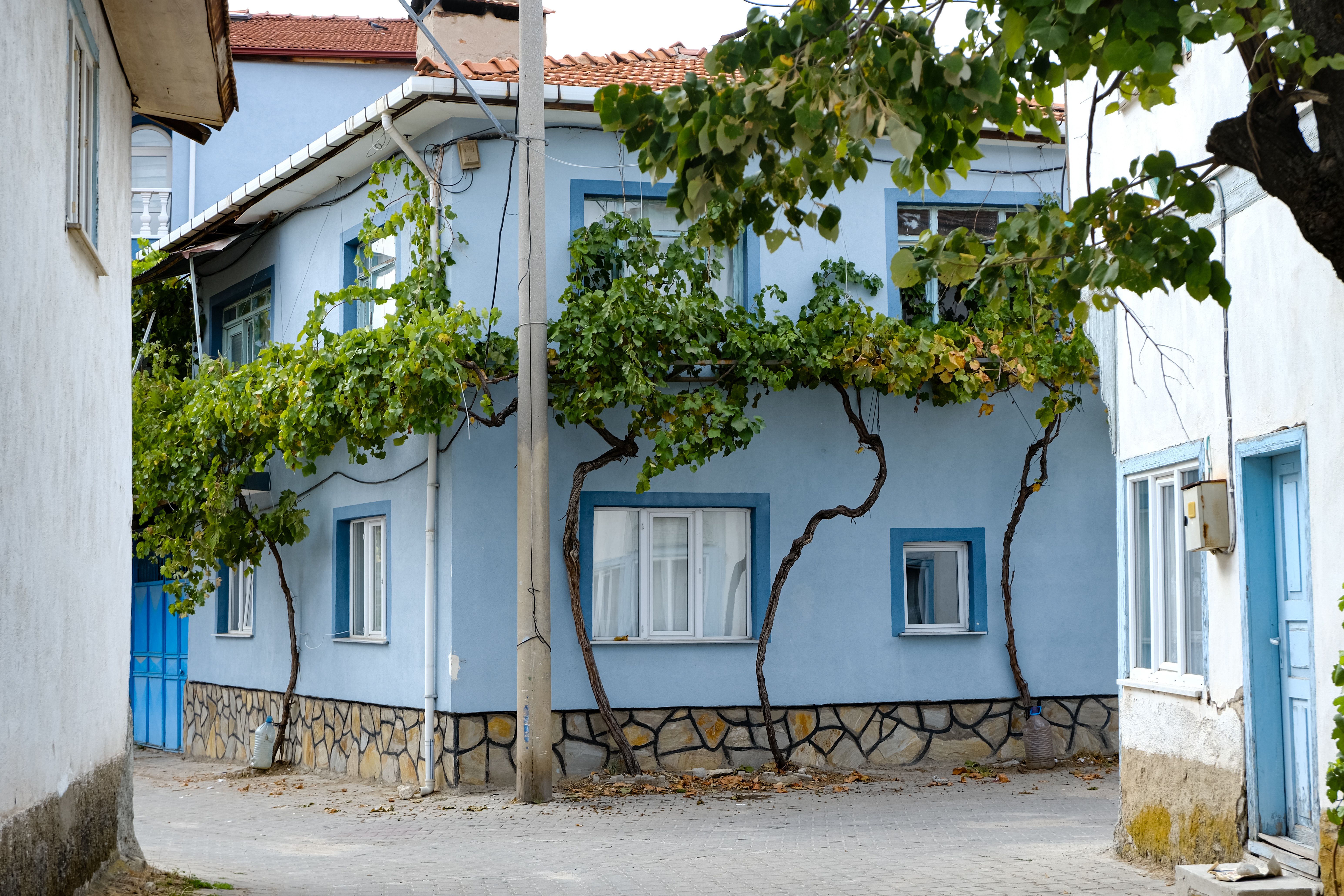 Charming Blue House with Ivy in Quaint Village · Free Stock Photo