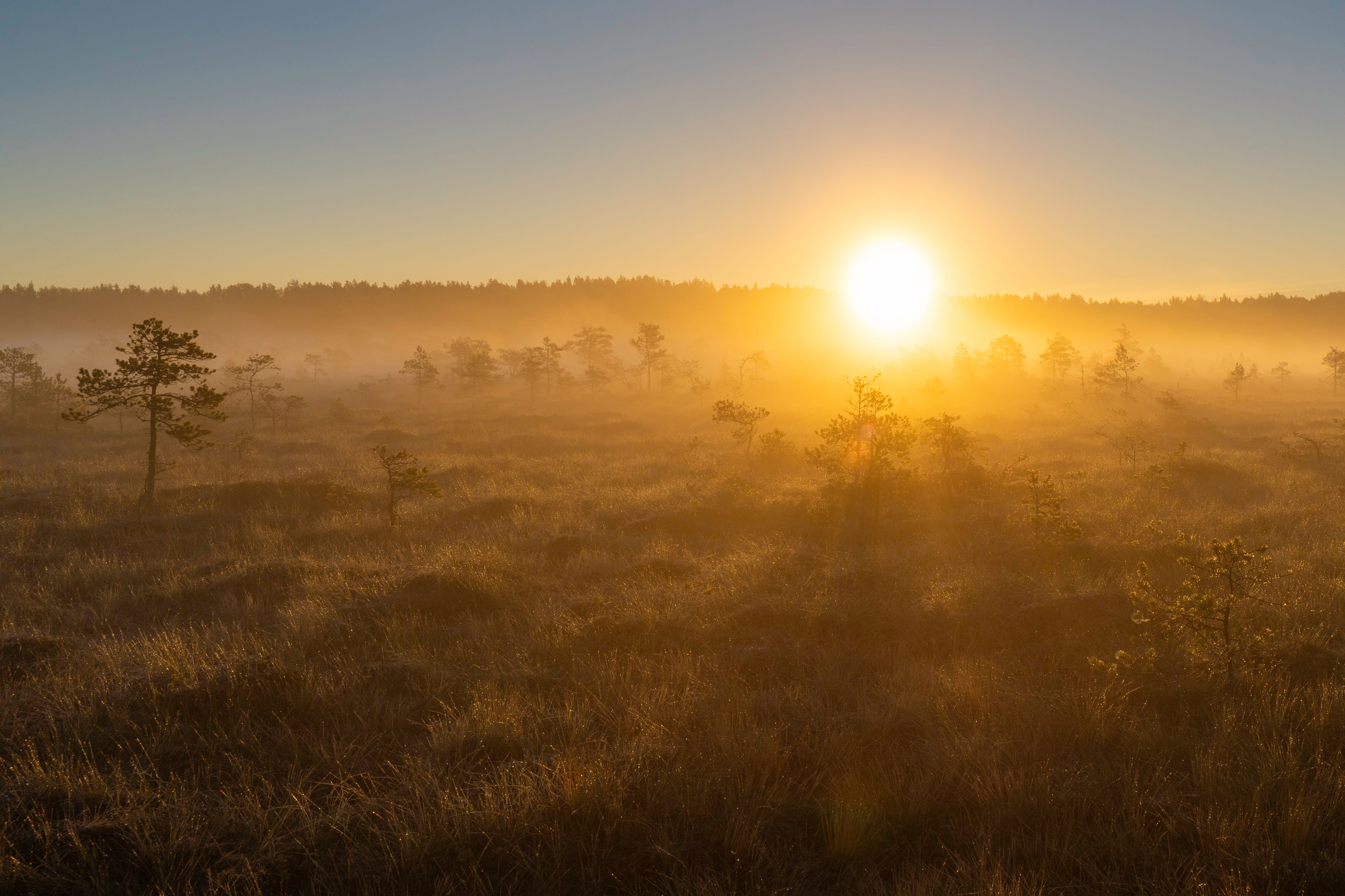 Lever De Soleil Paisible Sur Un Paysage De Tourbière Tranquille · Photo ...