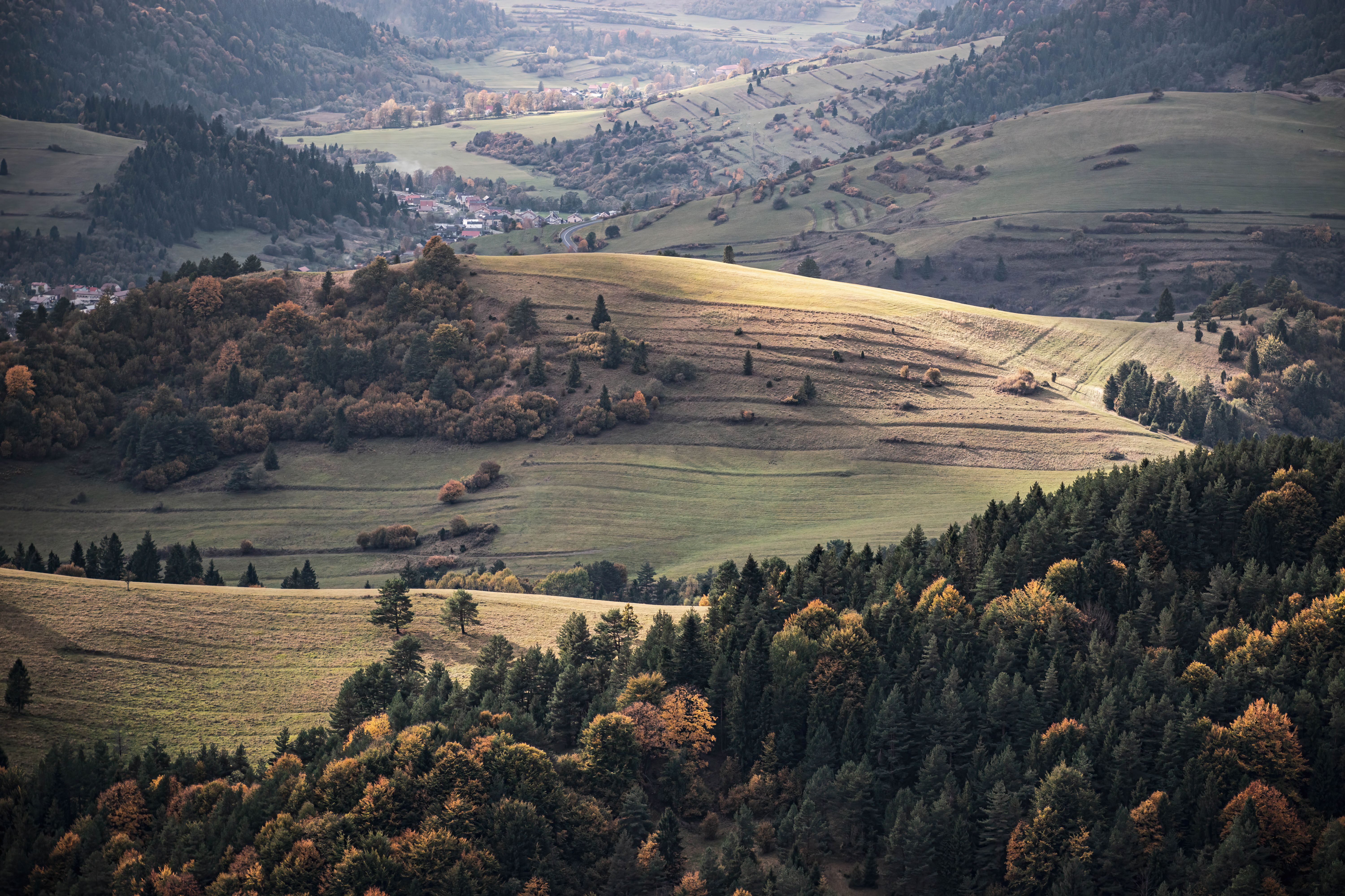 Scenic Autumn Landscape with Rolling Hills · Free Stock Photo