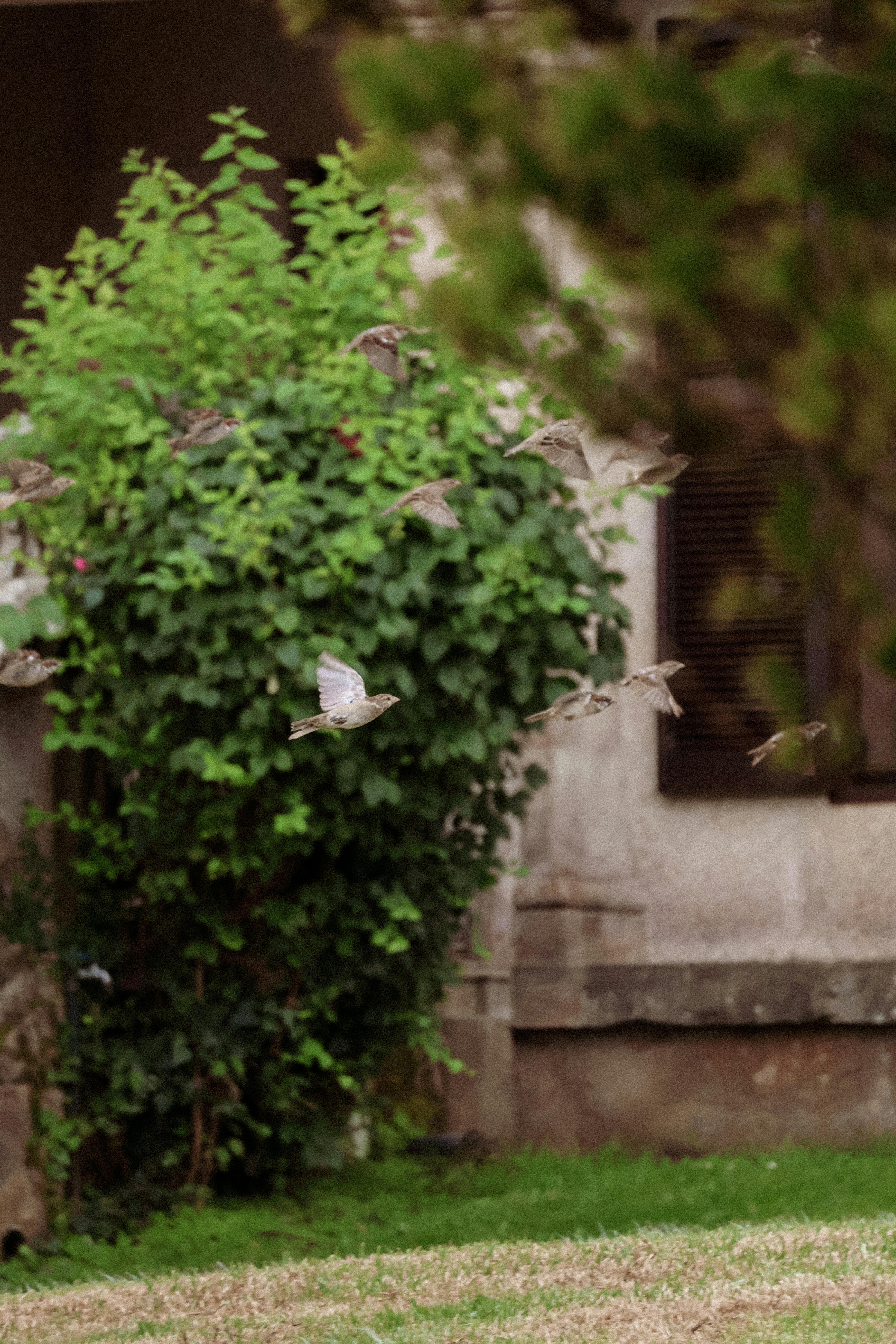 Gif Fly Photos, Download The BEST Free Gif Fly Stock Photos & HD Images