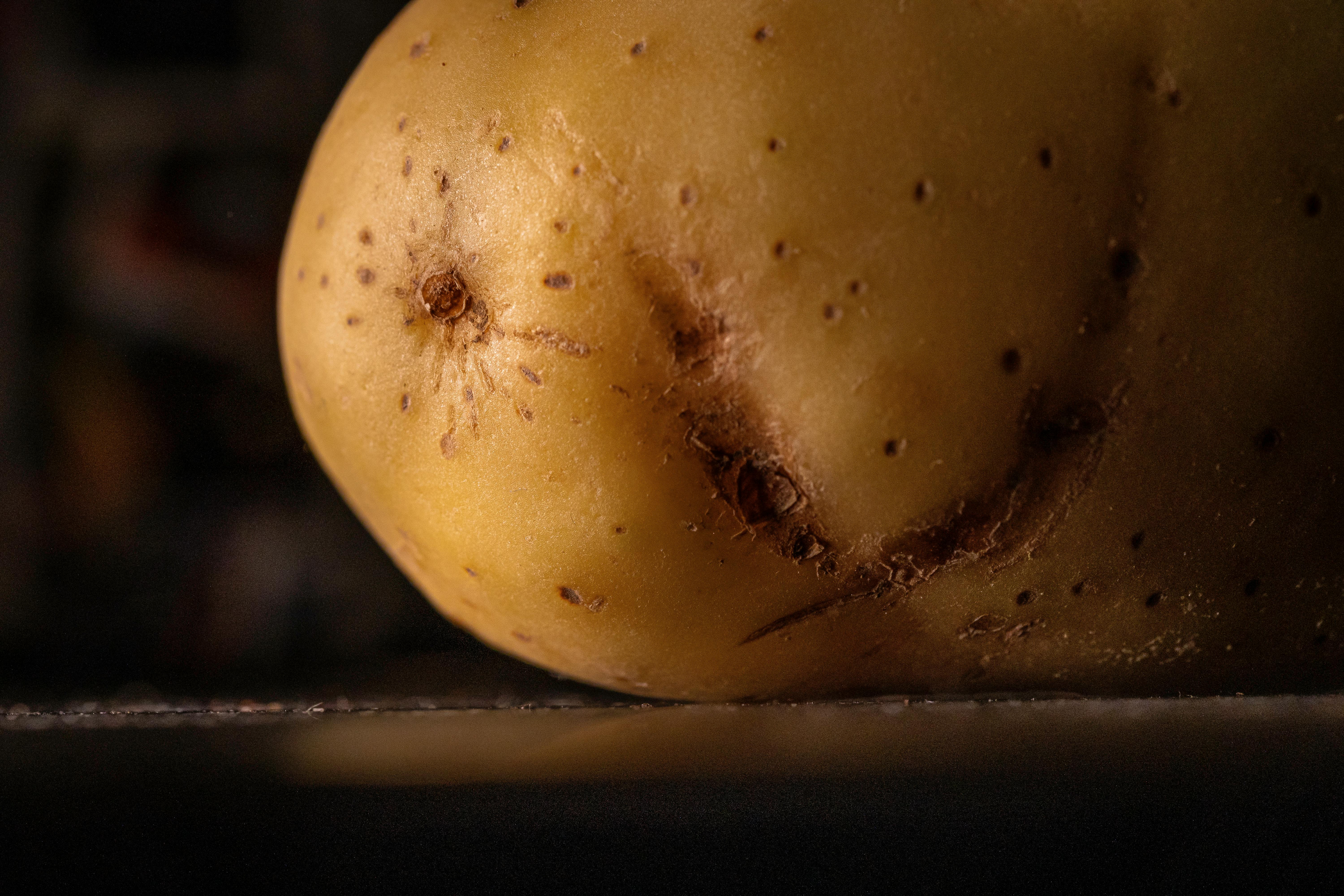 Close-up of Smiling Potato with Natural Markings · Free Stock Photo