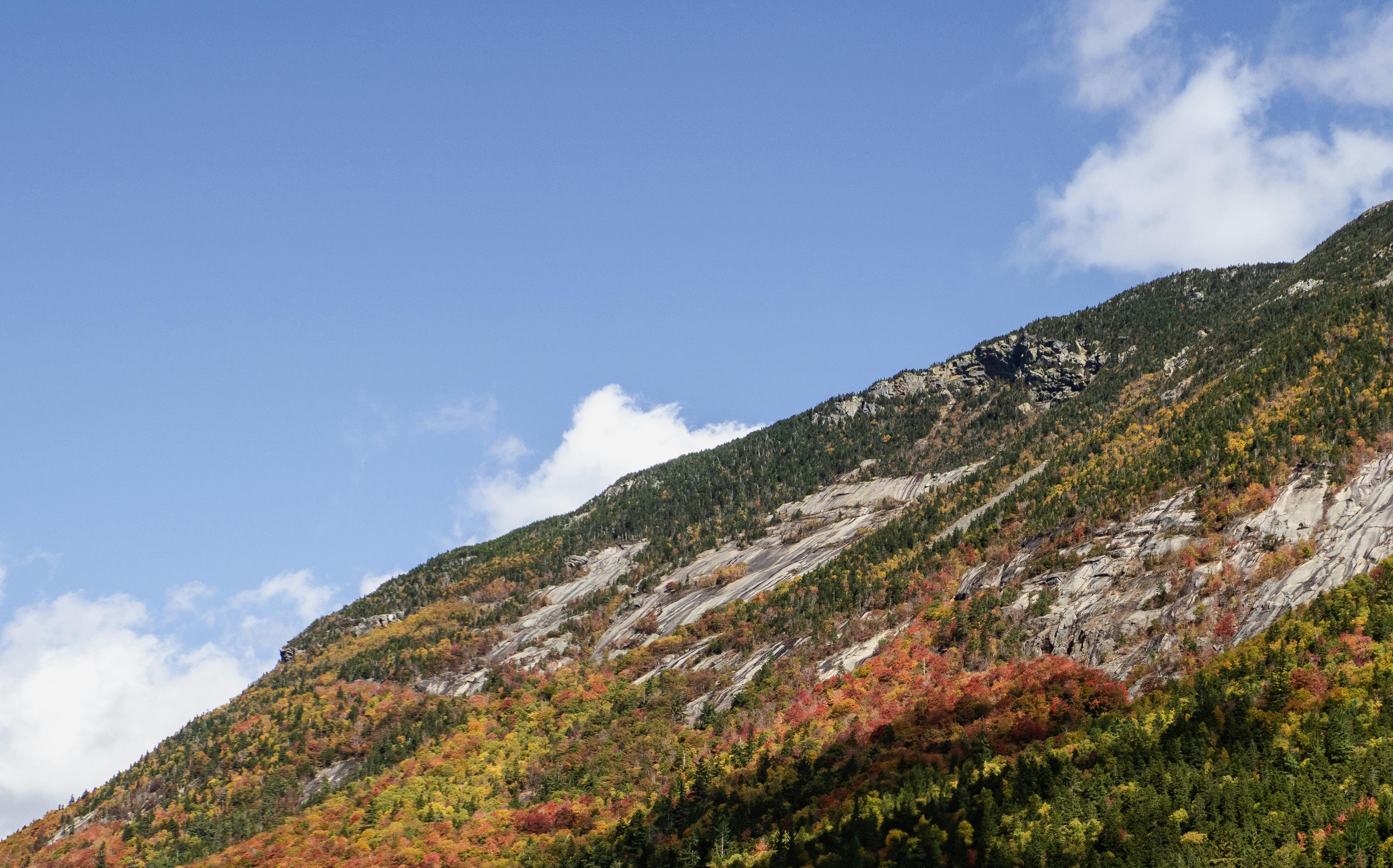 Vibrant Autumn Mountainside Landscape · Free Stock Photo