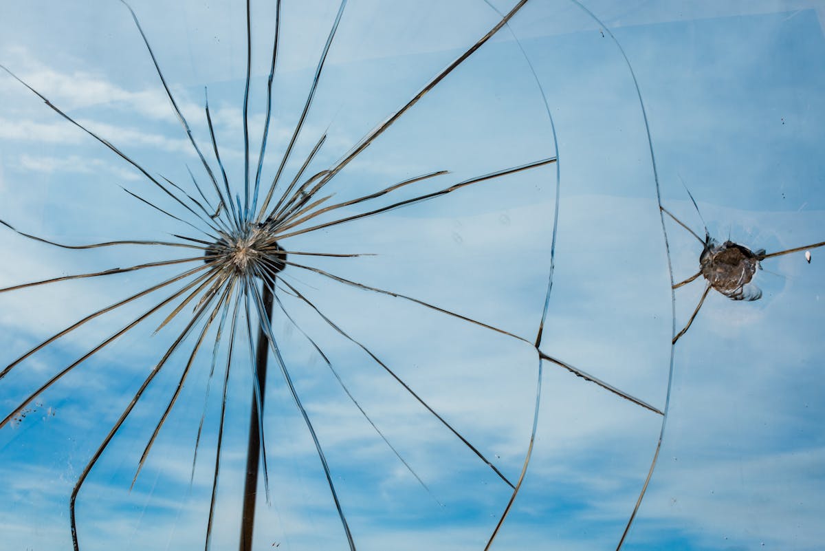 Transparency Photos, Download The BEST Free Transparency Stock Photos ...