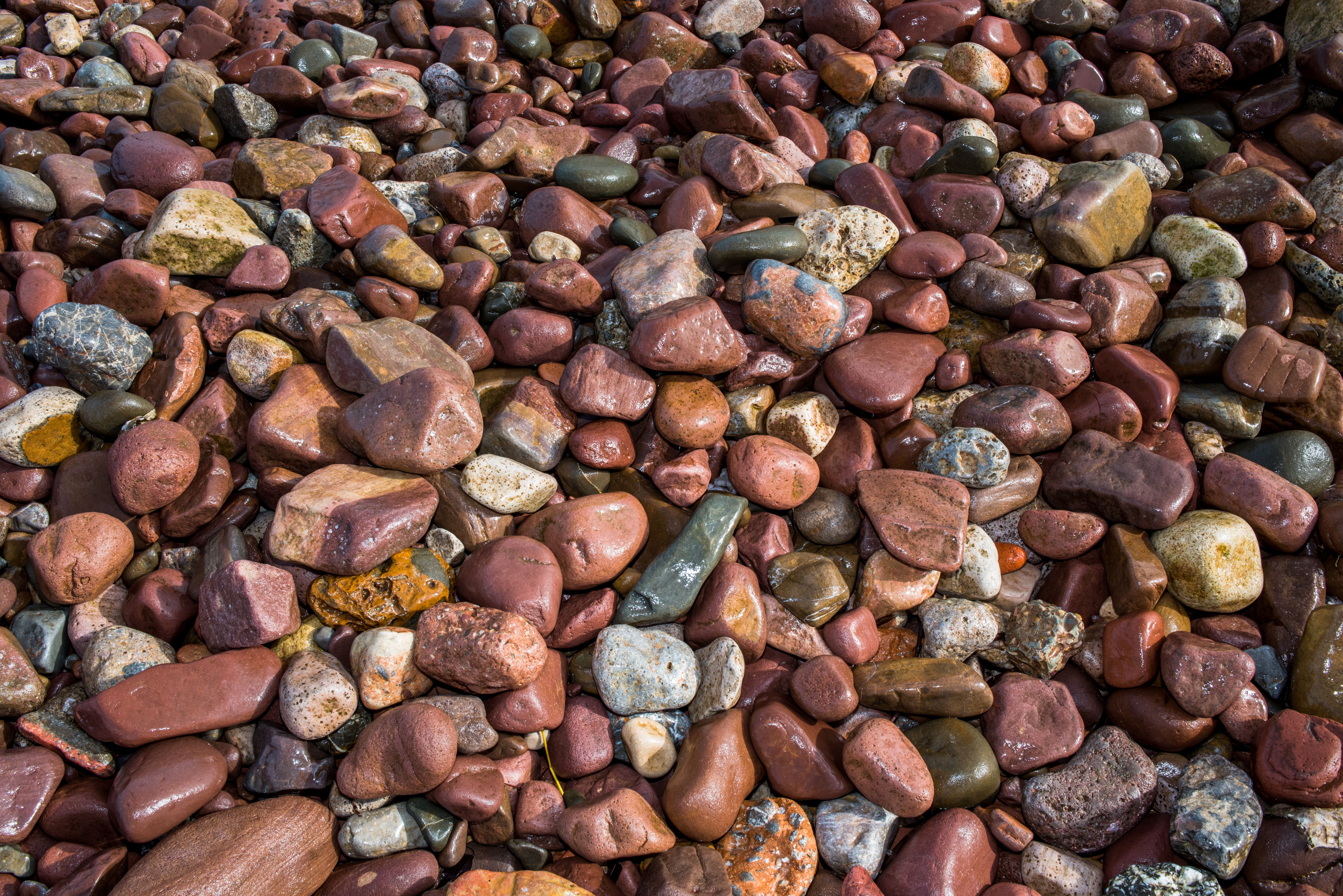 Rock Diversity Photos, Download The BEST Free Rock Diversity Stock ...