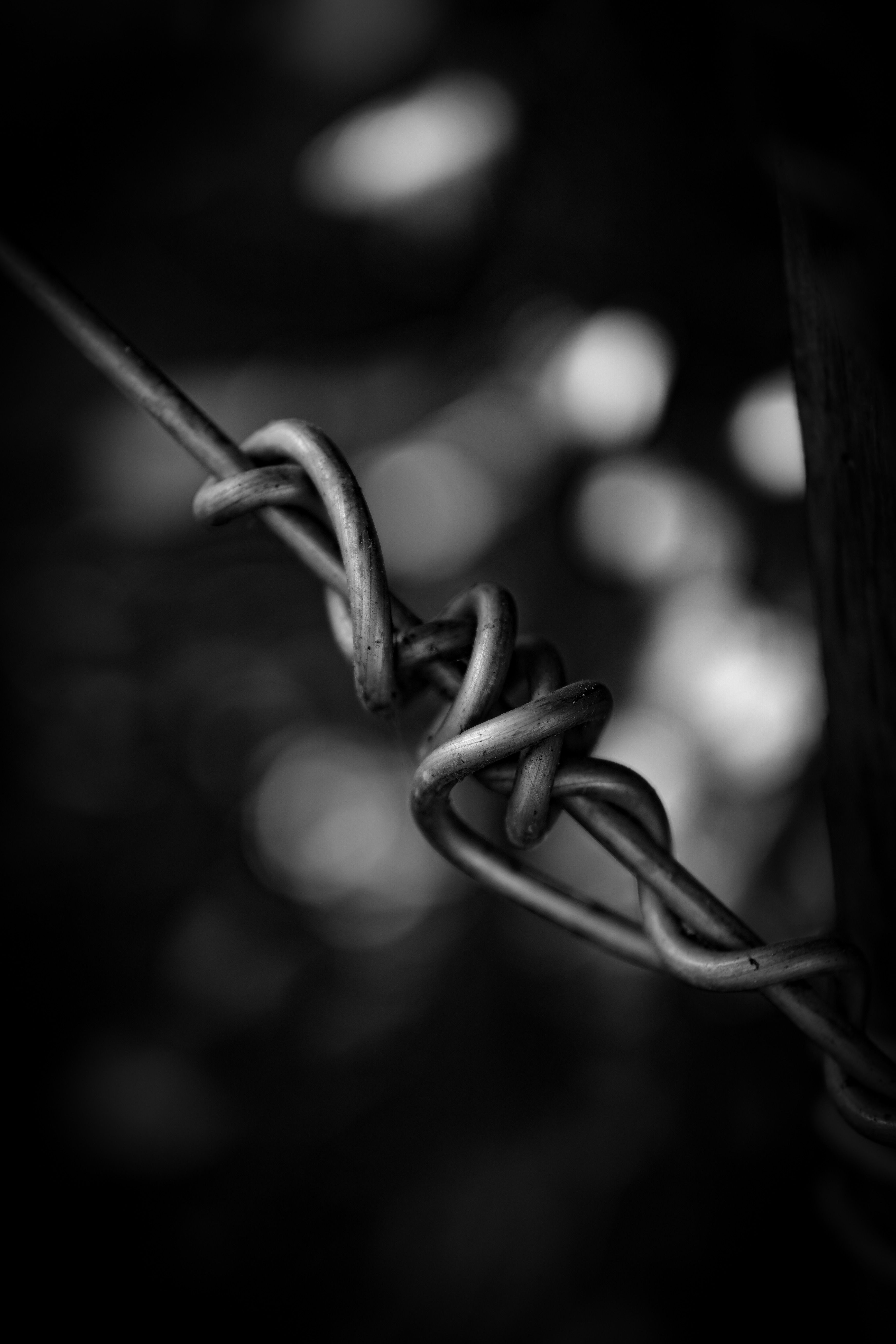 Close-up of Twisted Metal Wire in Monochrome · Free Stock Photo