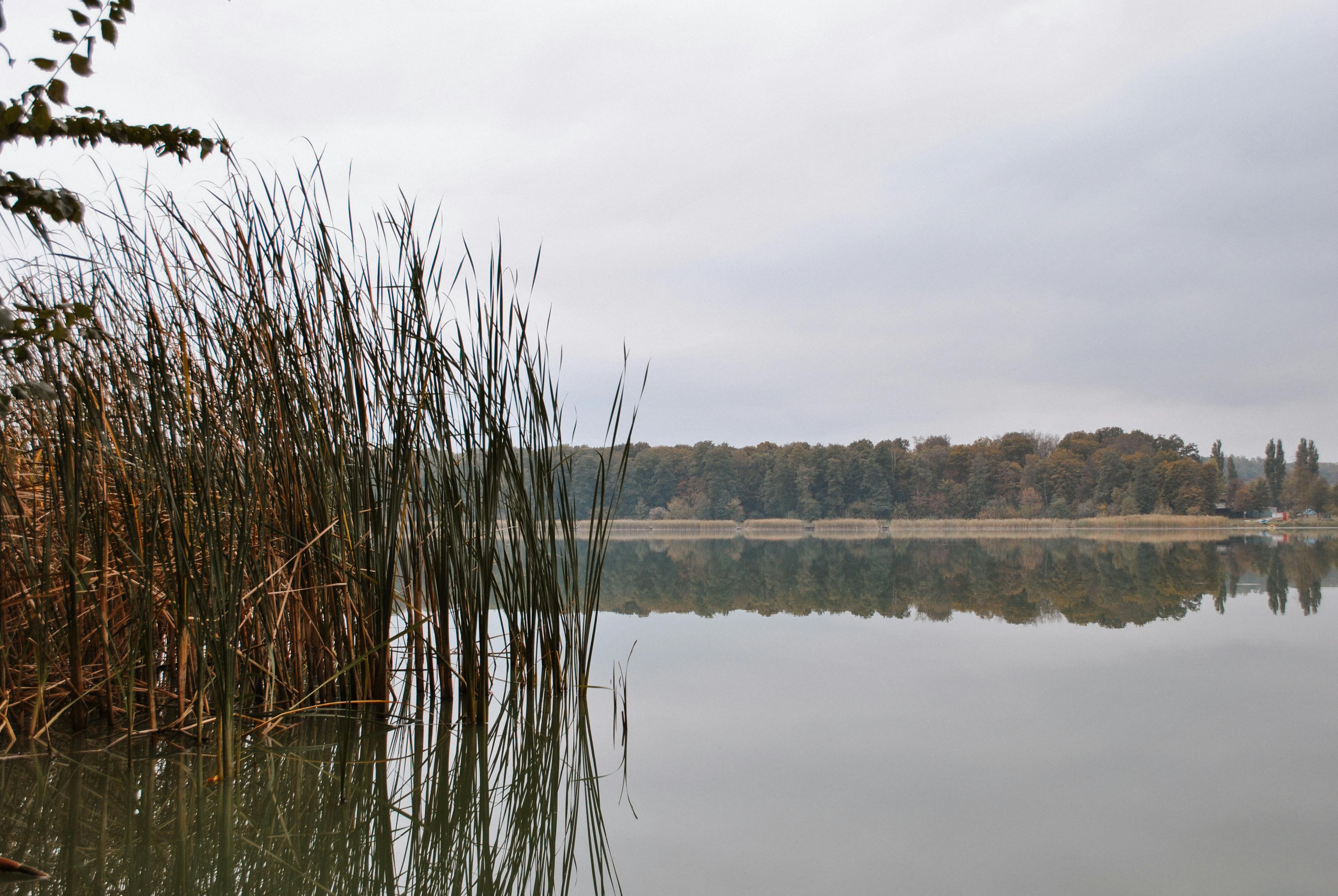 Stringer Still Photos, Download The BEST Free Stringer Still Stock ...