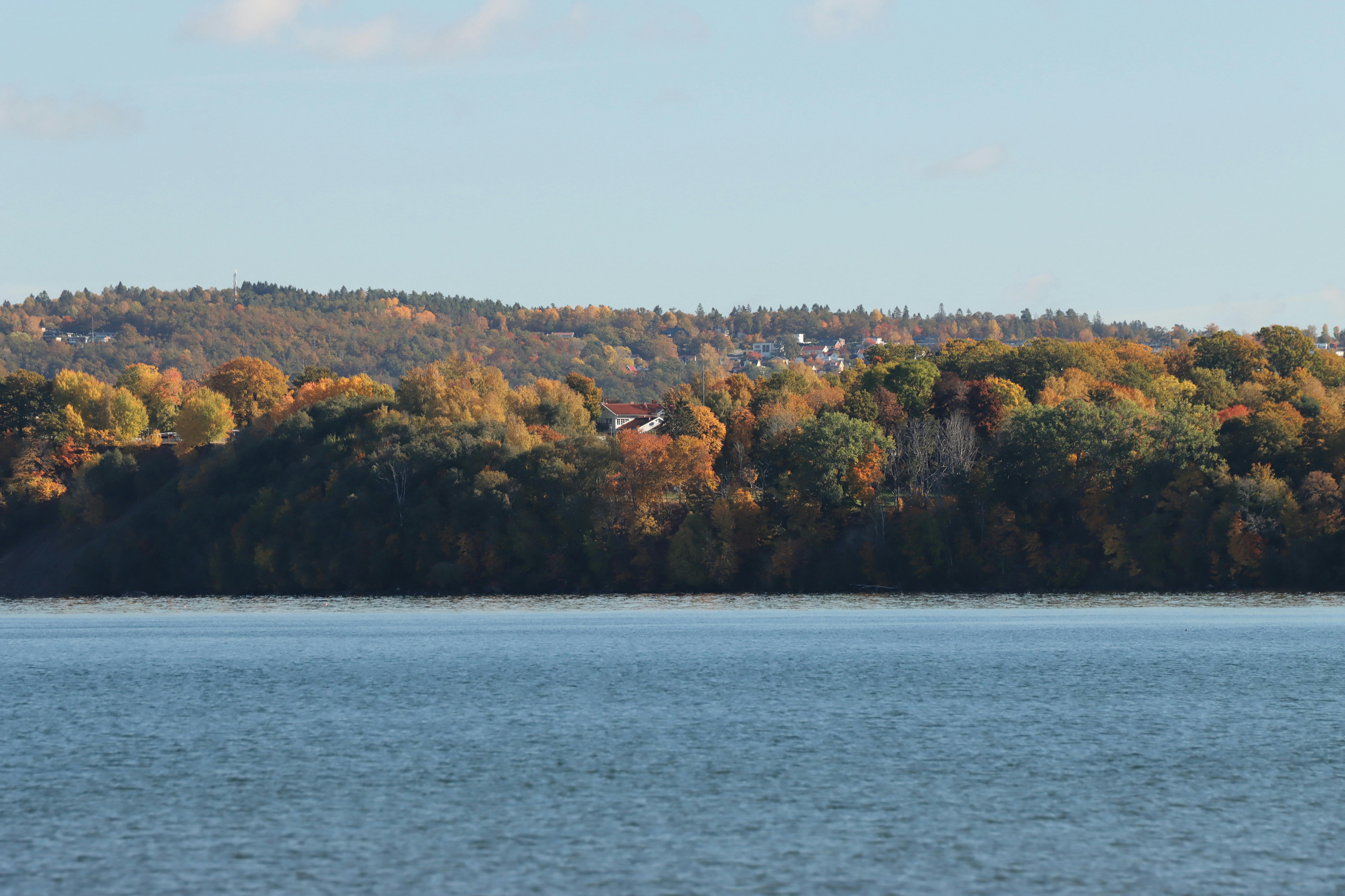 Javel Photos, Download The BEST Free Javel Stock Photos & HD Images