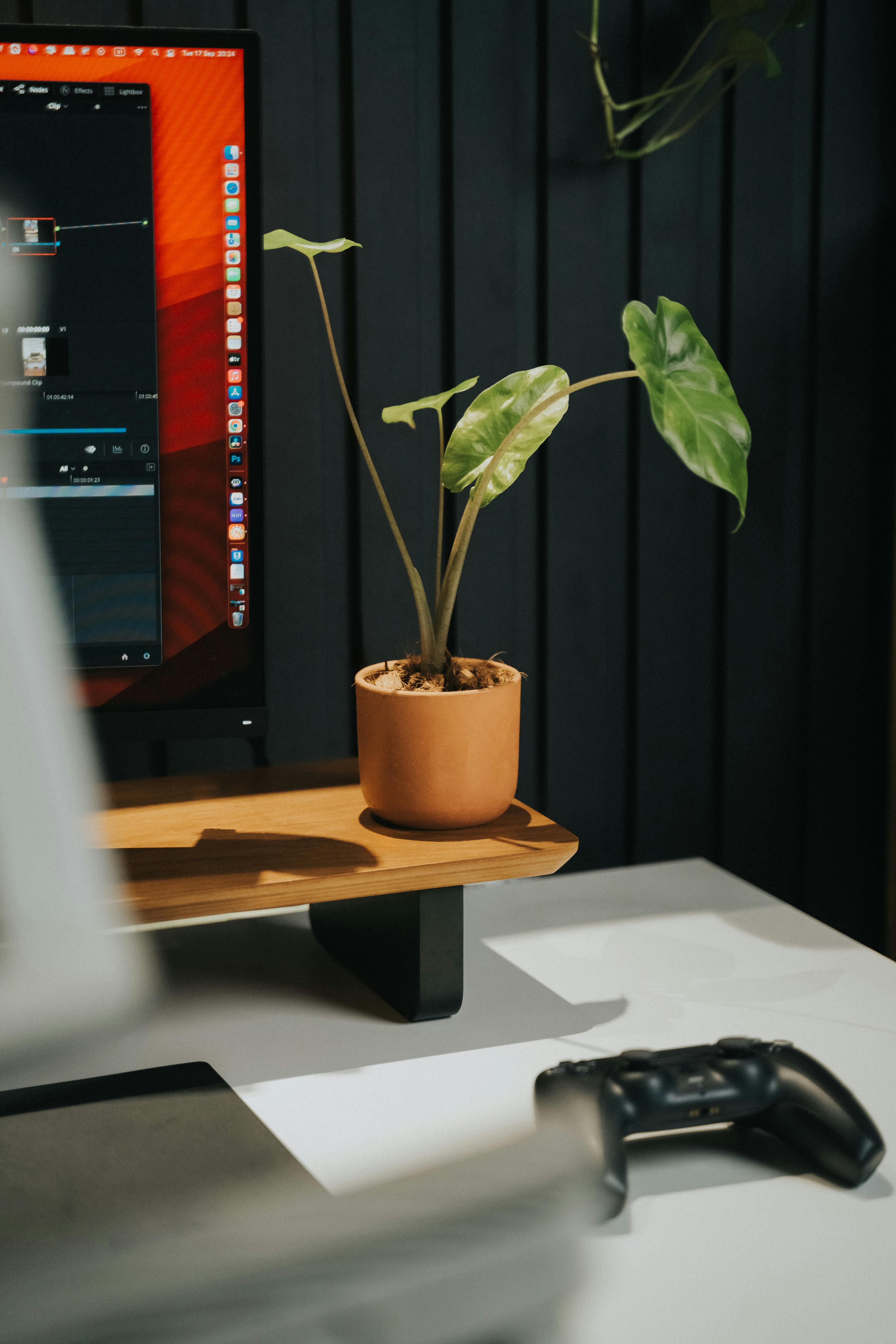 Modern Workspace with Potted Plant and Game Controller · Free Stock Photo