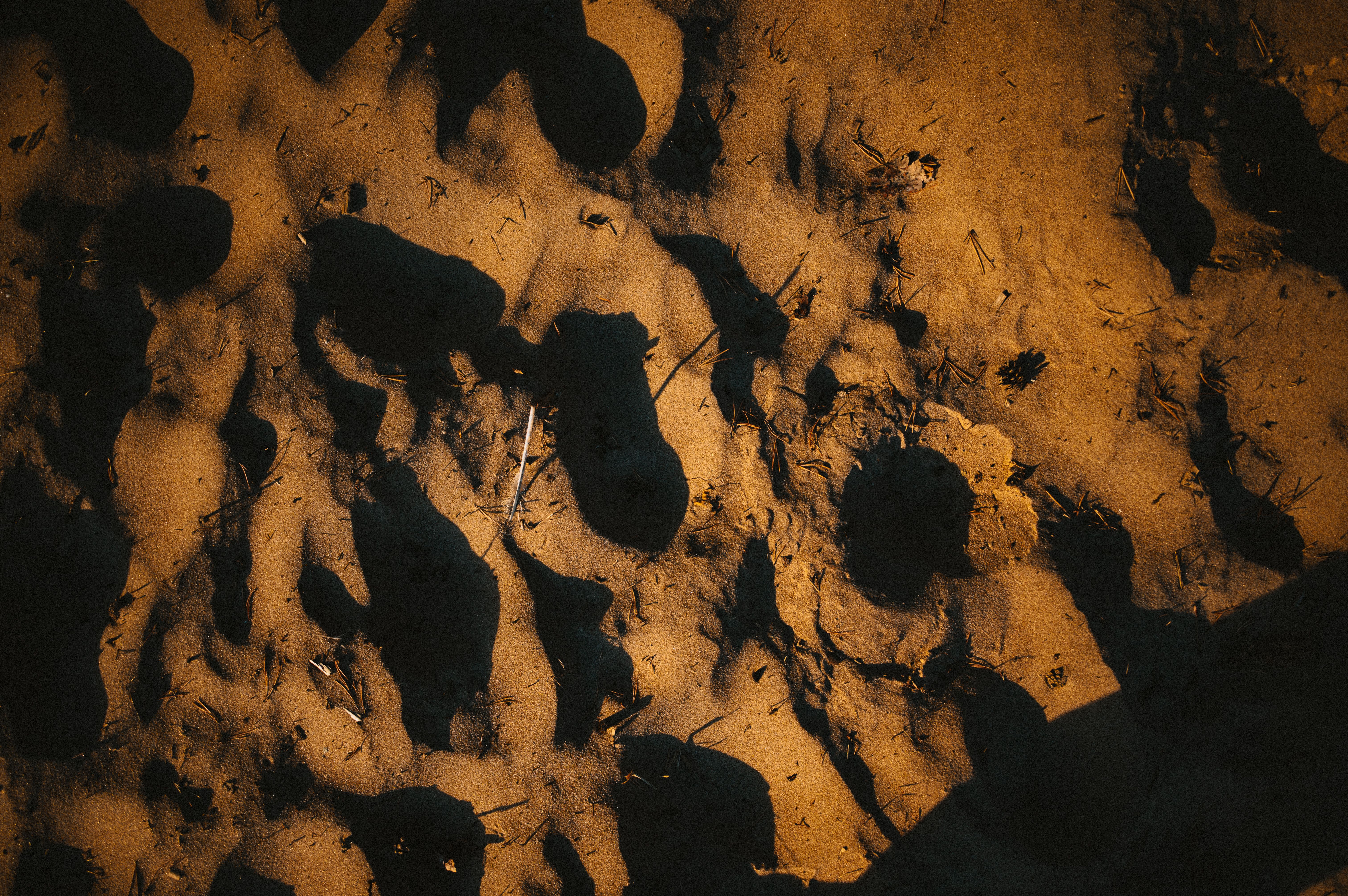 Abstract Shadows on Sandy Terrain Art Photo · Free Stock Photo