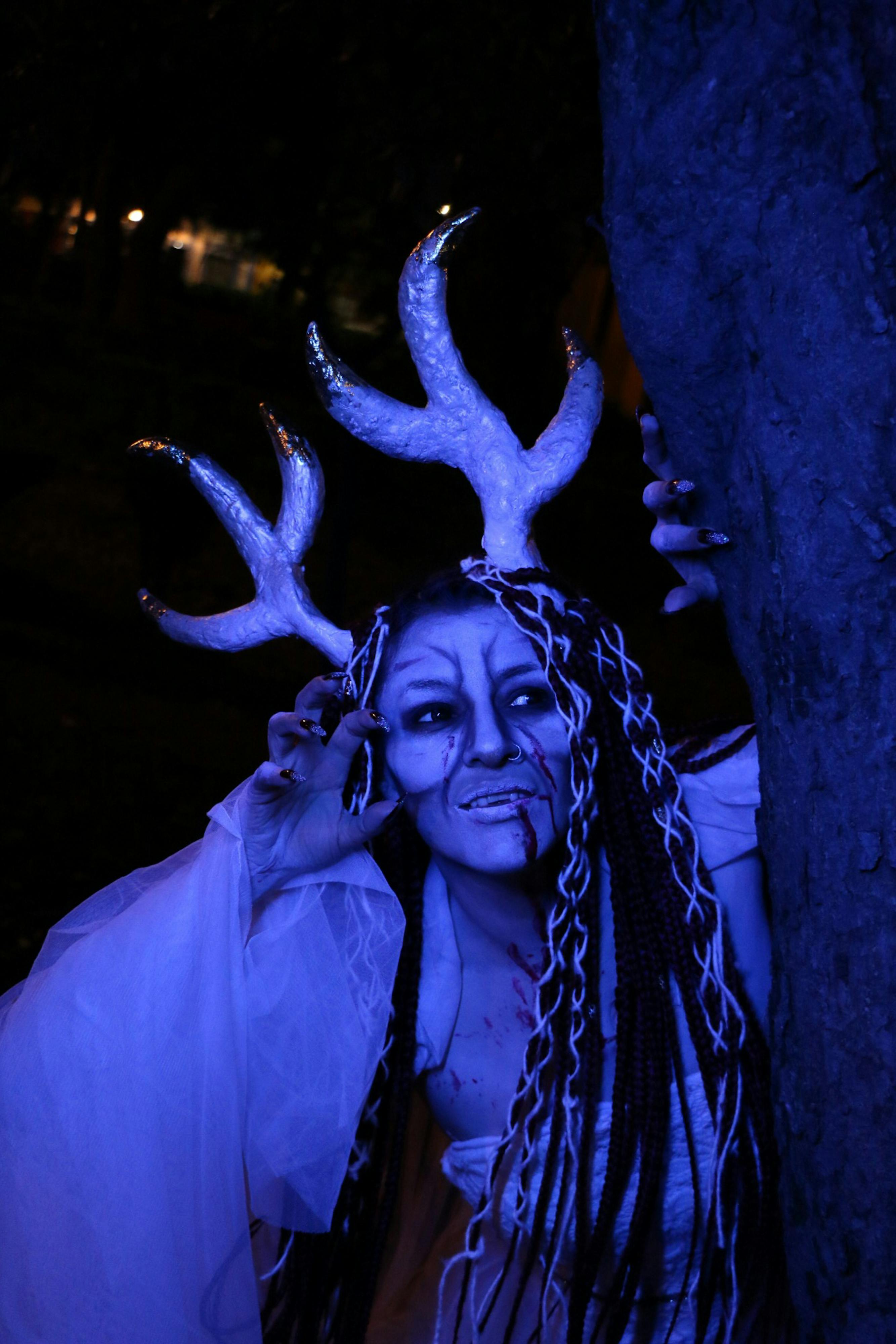 Enchanting Night Creature with Horns · Free Stock Photo