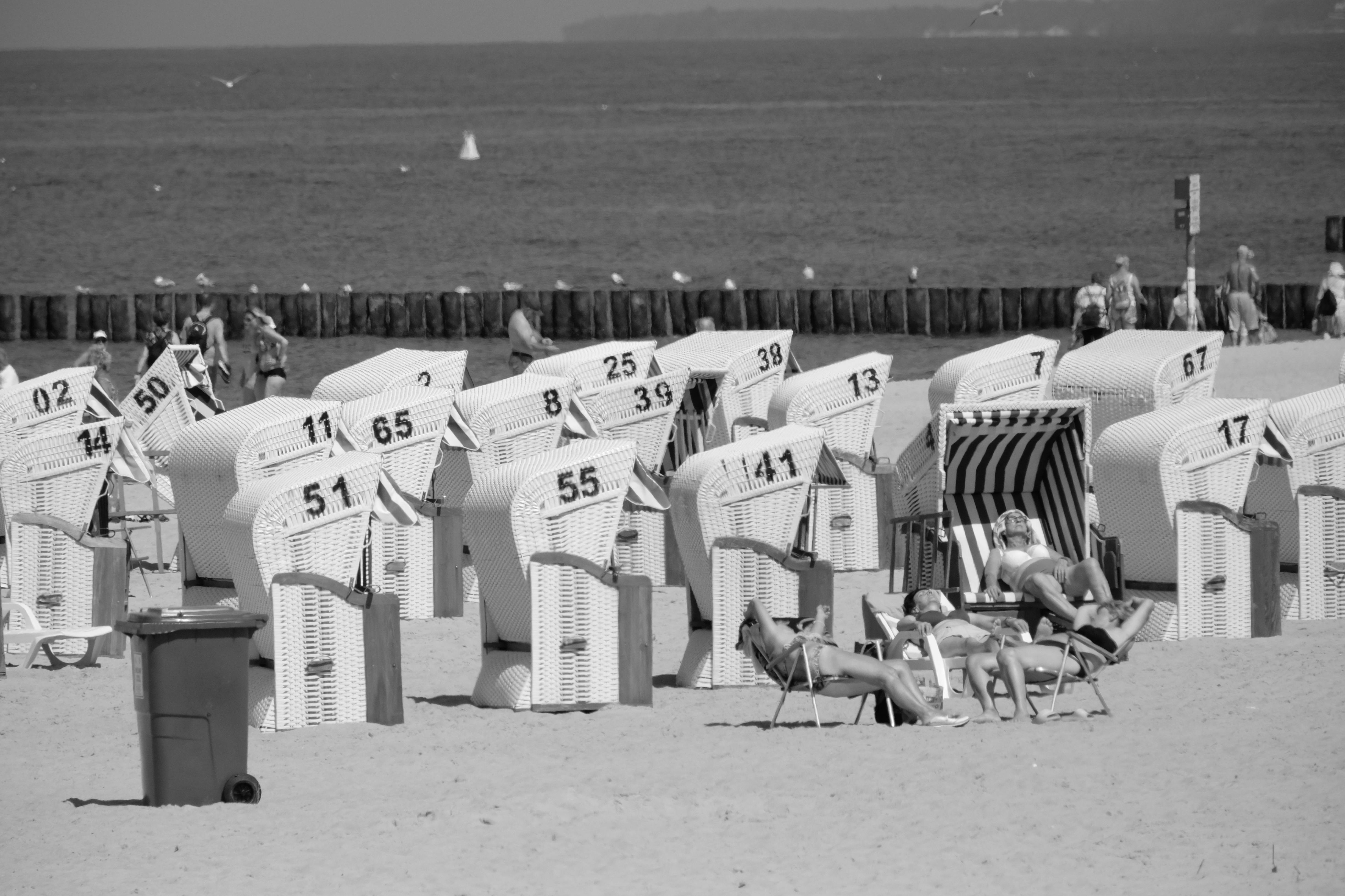 Monochrome Beach Scene with Deck Chairs and Ocean View · Free Stock Photo