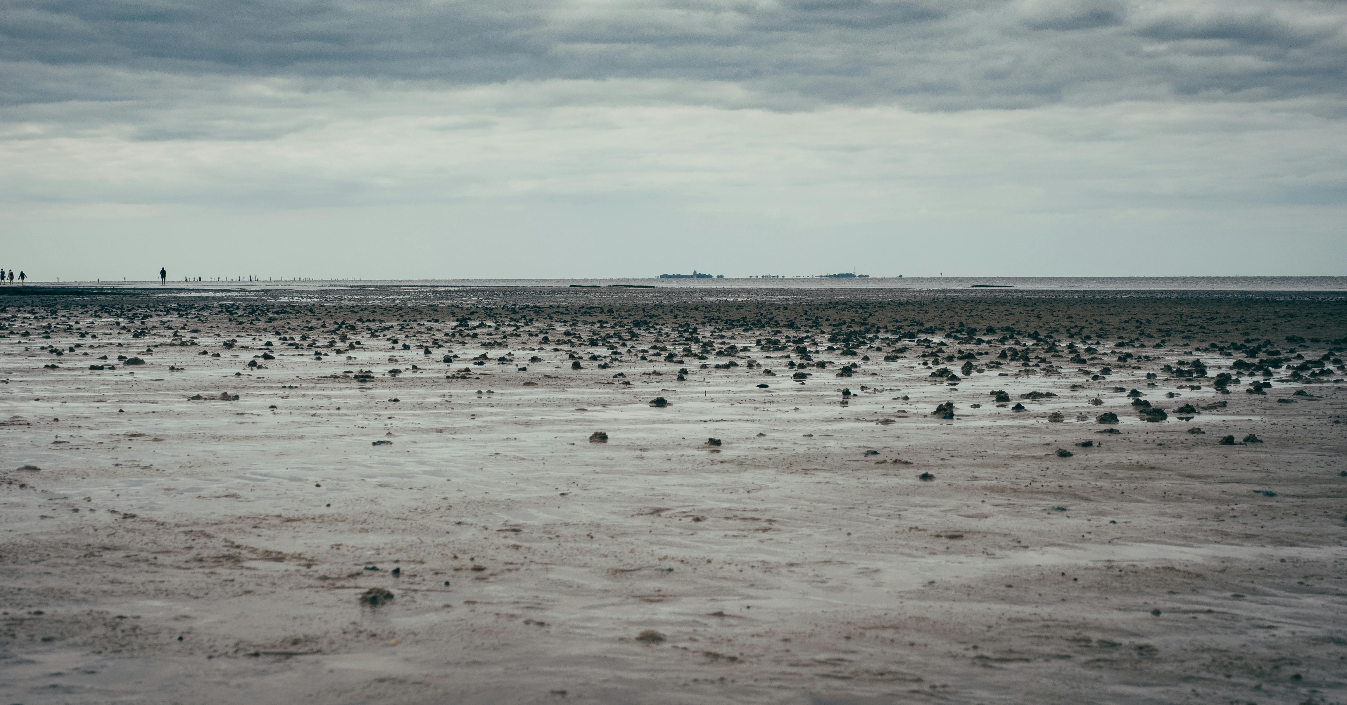 Vast North Sea Mudflat Landscape · Free Stock Photo
