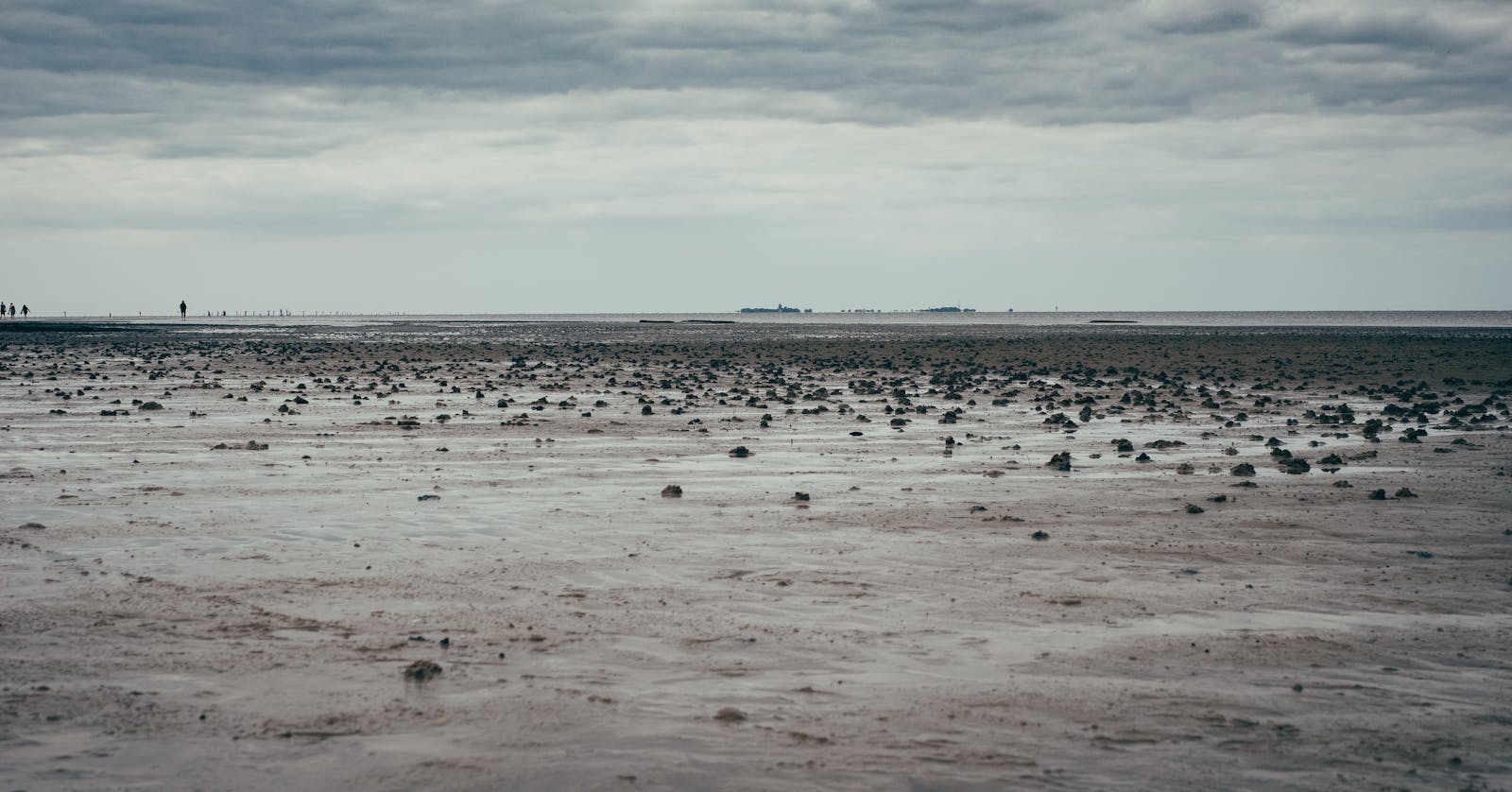 Mudflat Photos, Download The BEST Free Mudflat Stock Photos & HD Images