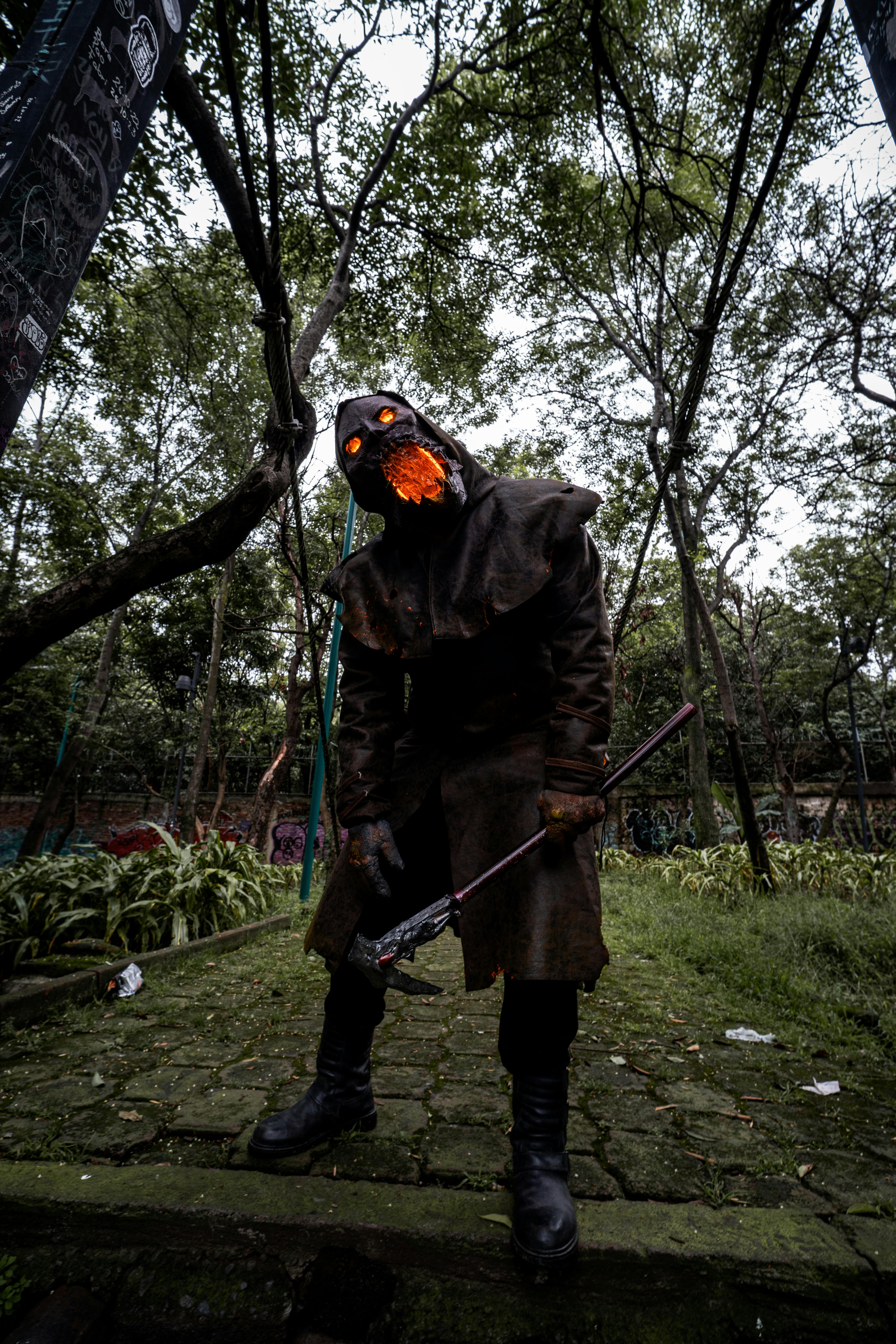 Yuz Dbd Photos, Download The BEST Free Yuz Dbd Stock Photos & HD Images