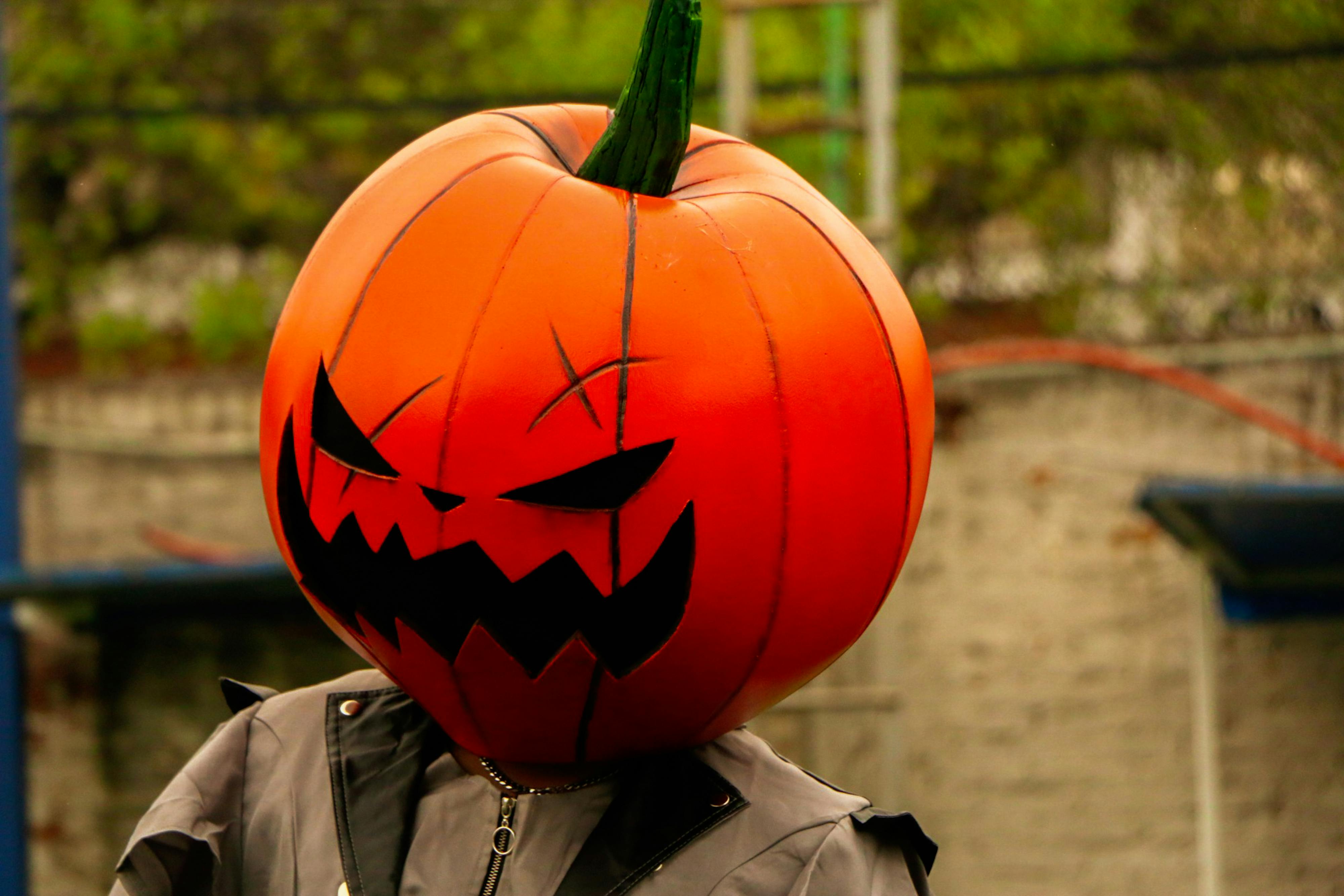 Woman with a Pumpkin on Her Head · Free Stock Photo