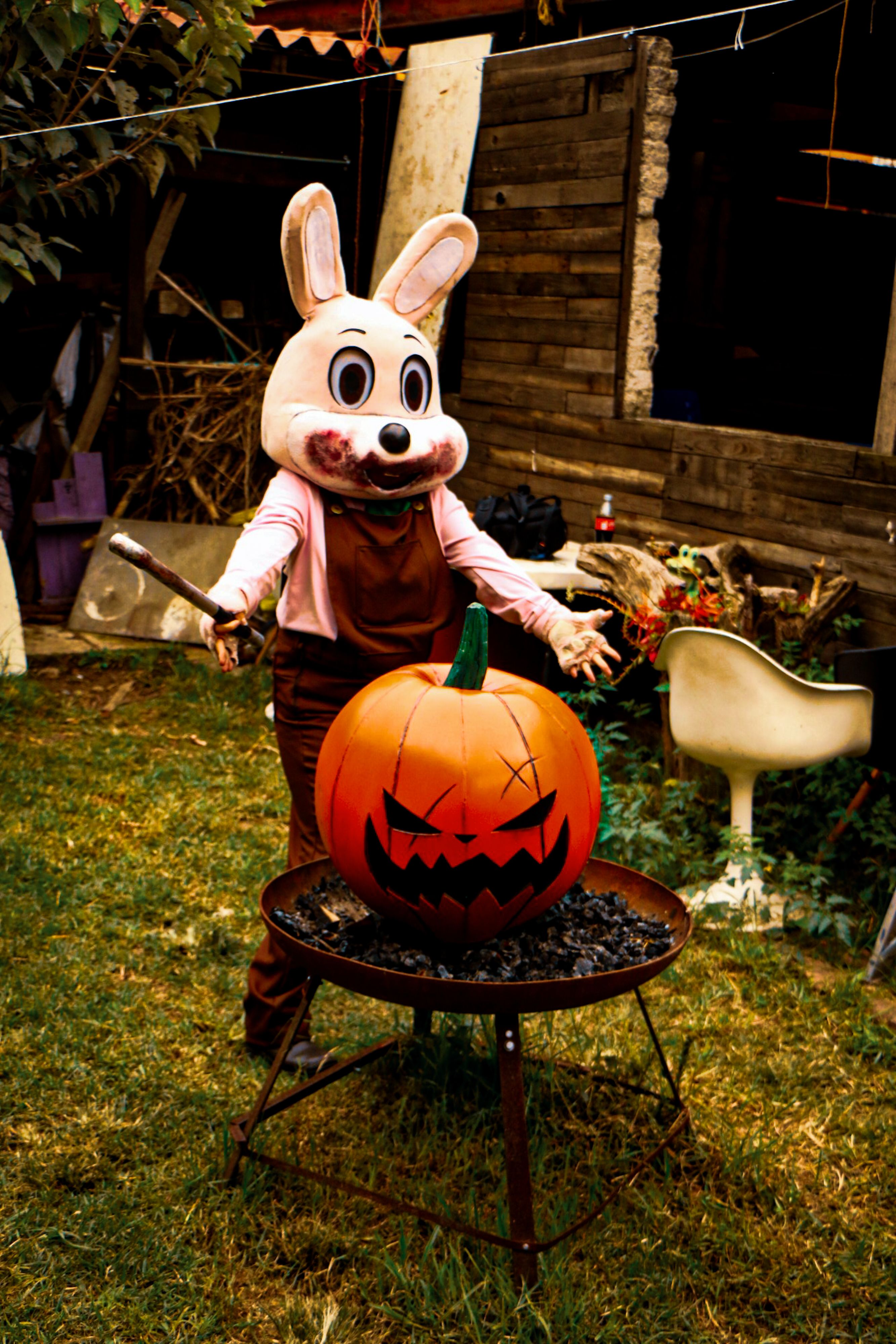 Halloween Bunny Wallpaper Wallpaper Girl, Rabbit, Pumpkin, Bats,