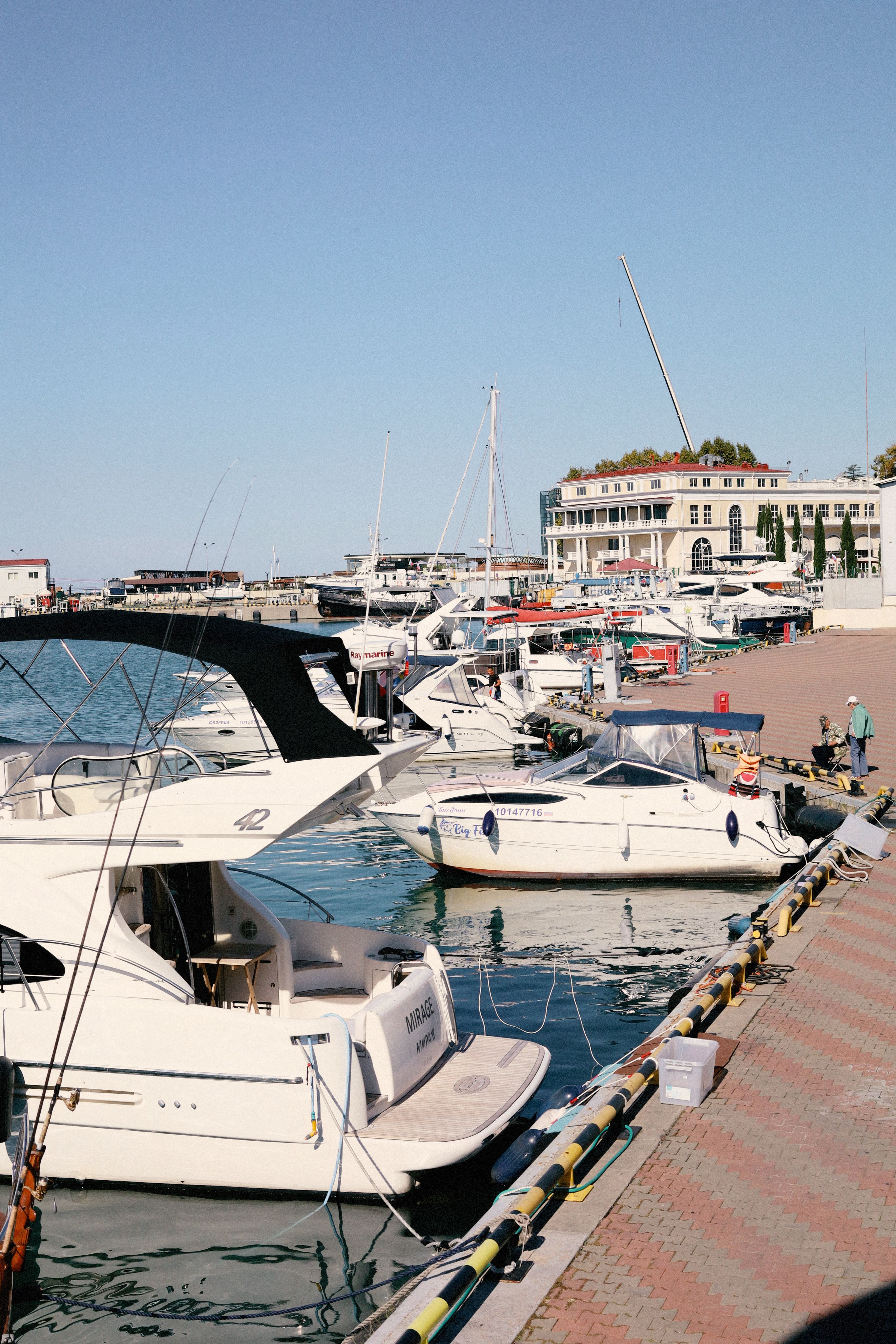 Sunny Marina with Docked Yachts and Waterfront Buildings · Free Stock Photo