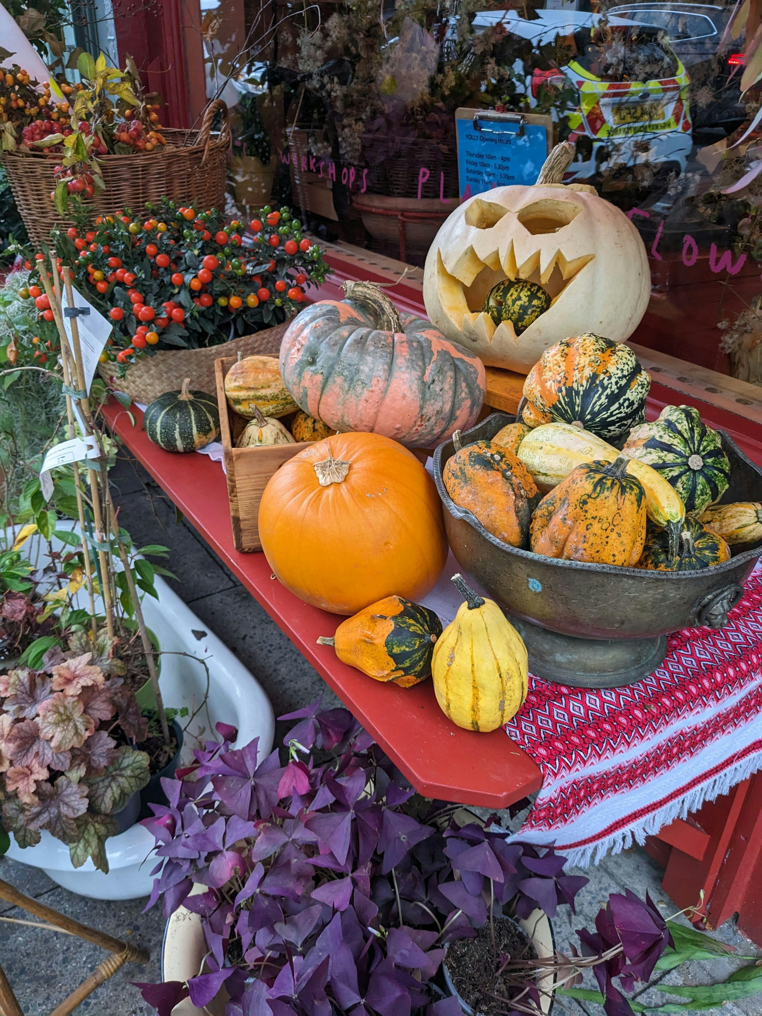 Vibrant Autumn Harvest Display with Pumpkins · Free Stock Photo