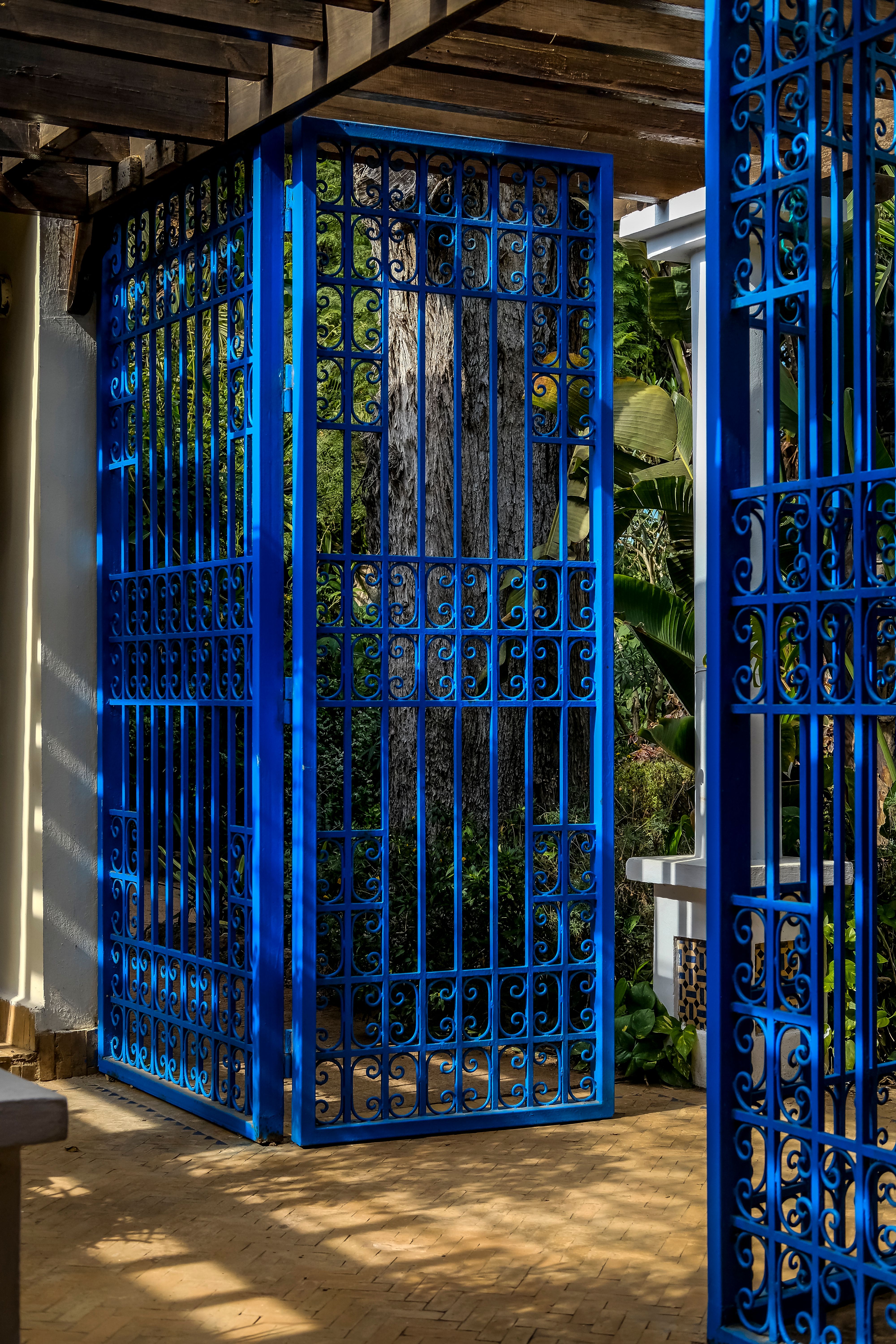 Gerbang Besi Biru Cerah Di Taman Yang Disinari Matahari · Foto Stok Gratis