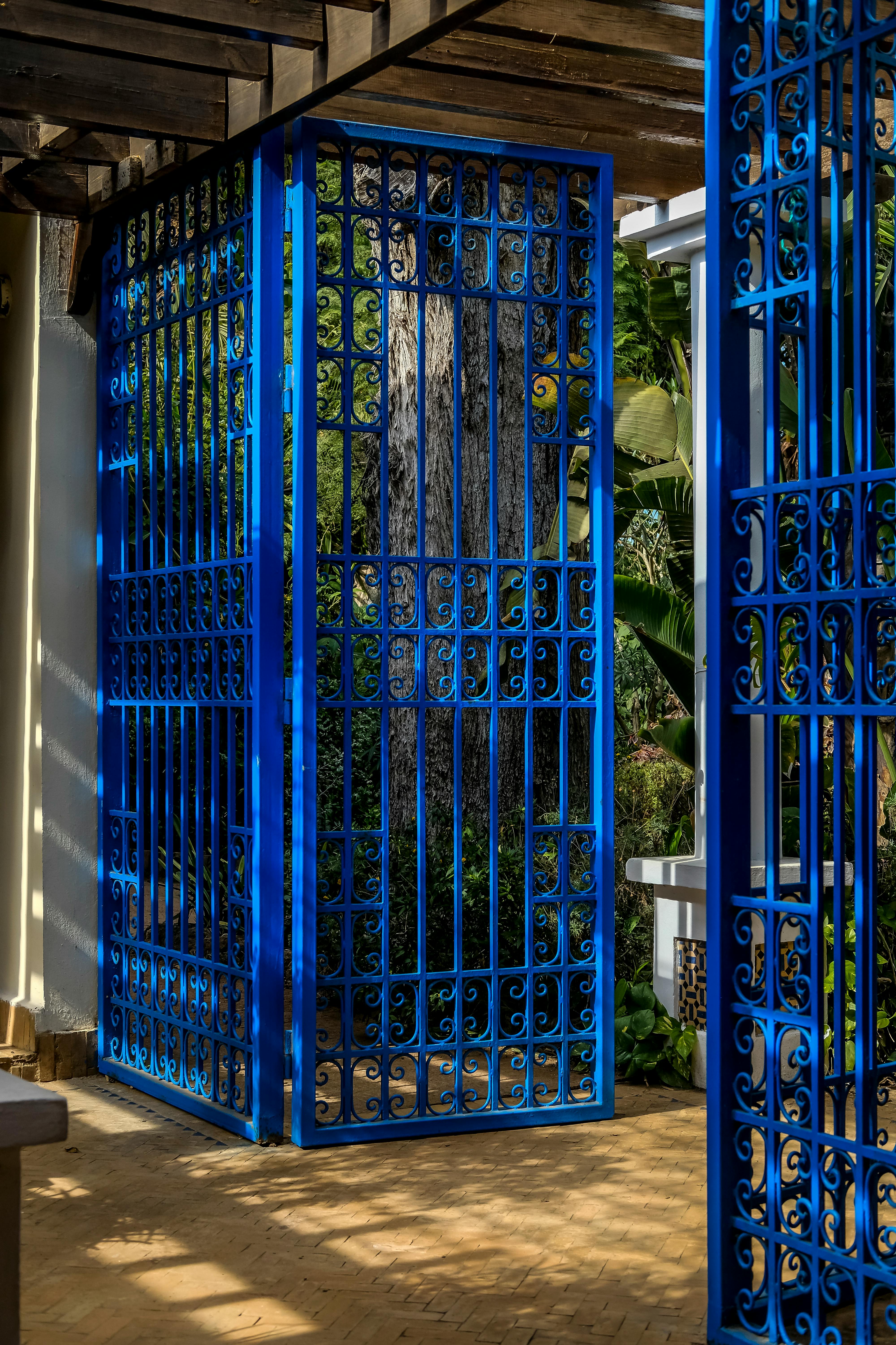 Vibrant Blue Iron Gate in Sunlit Garden · Free Stock Photo