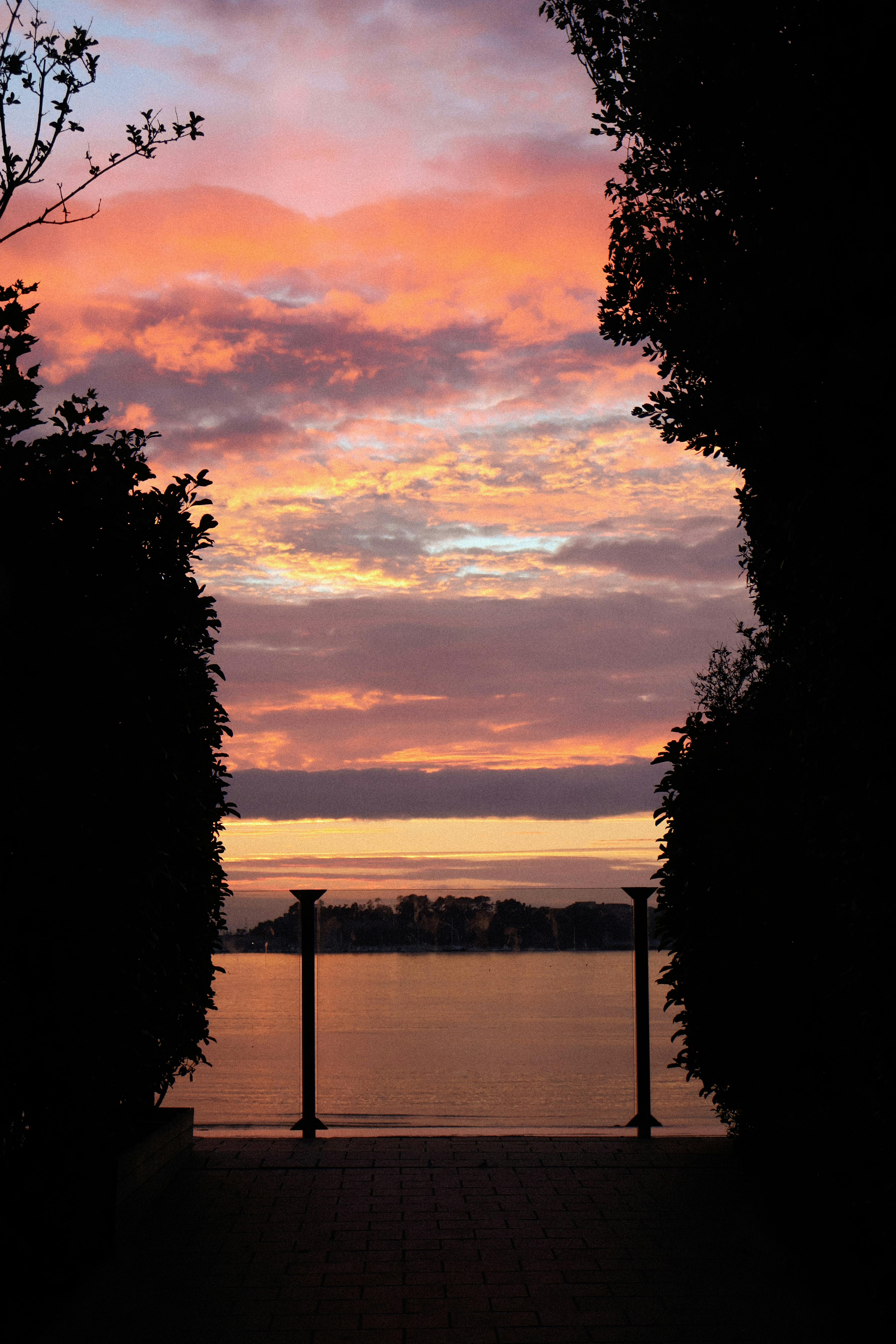 8.000+ melhores imagens de Ga Tong Nuoc Map Nap · Download 100% grátis ...